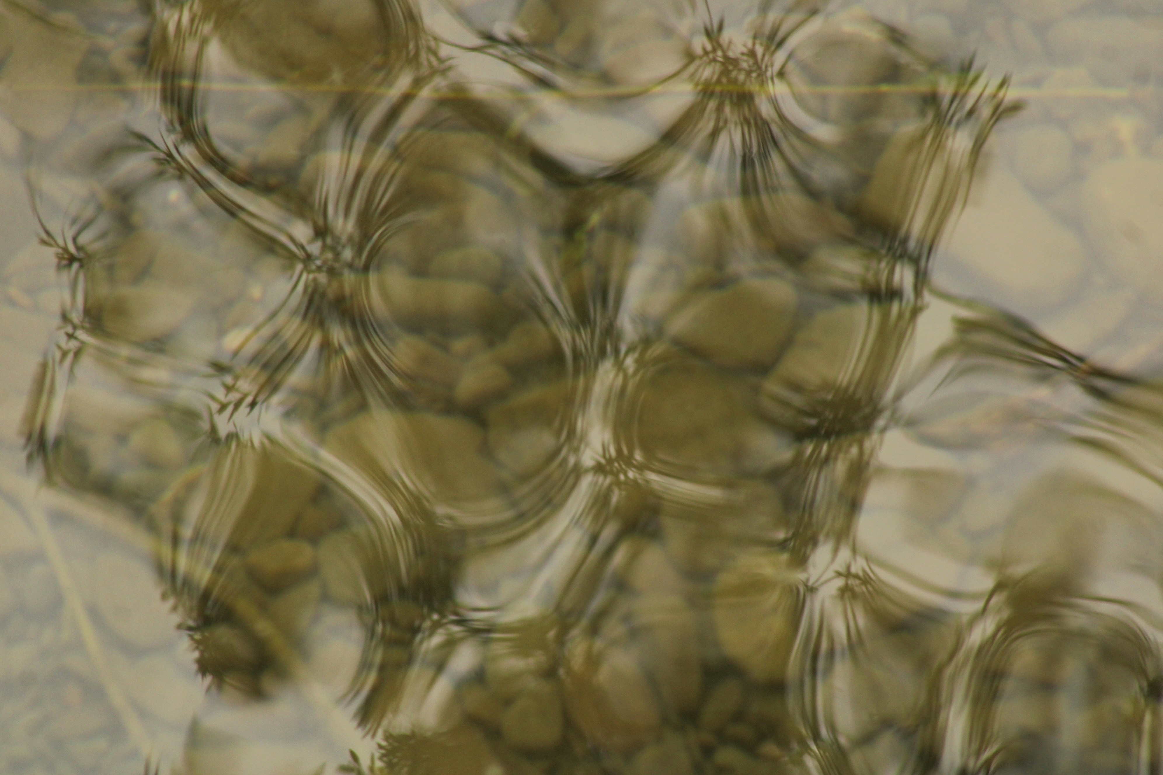 Close-up of a tessellated, translucent surface with stone-like shapes beneath, creating an abstract, water-warped pattern. The image emphasizes texture and tonal harmony in a muted palette.