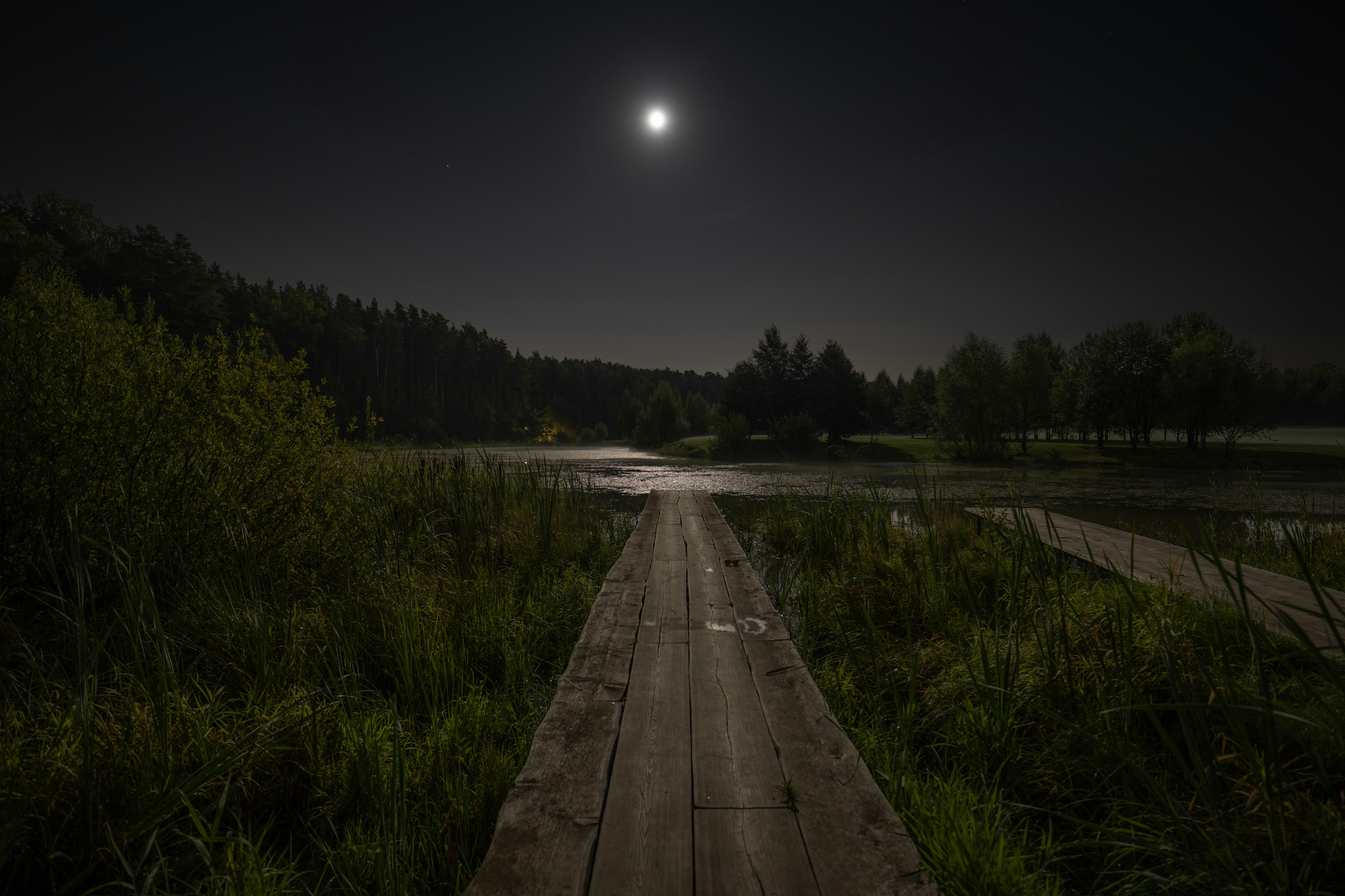 Moonlit boardwalk stretches toward a calm lake under a bright moon, with trees and grasses framing the scene.