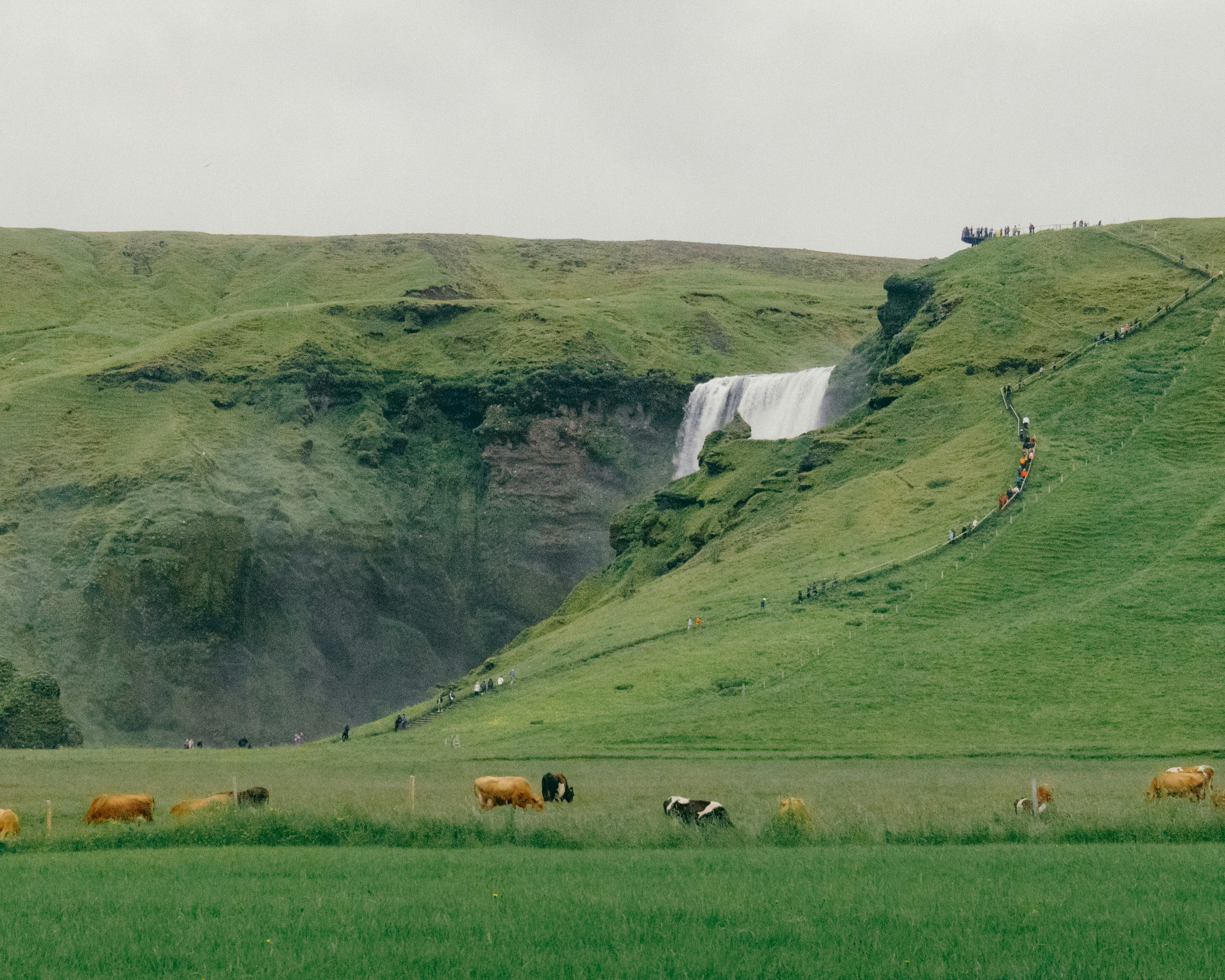 Verdant Valley: Cattle, Cascade, and a Winding Stairway