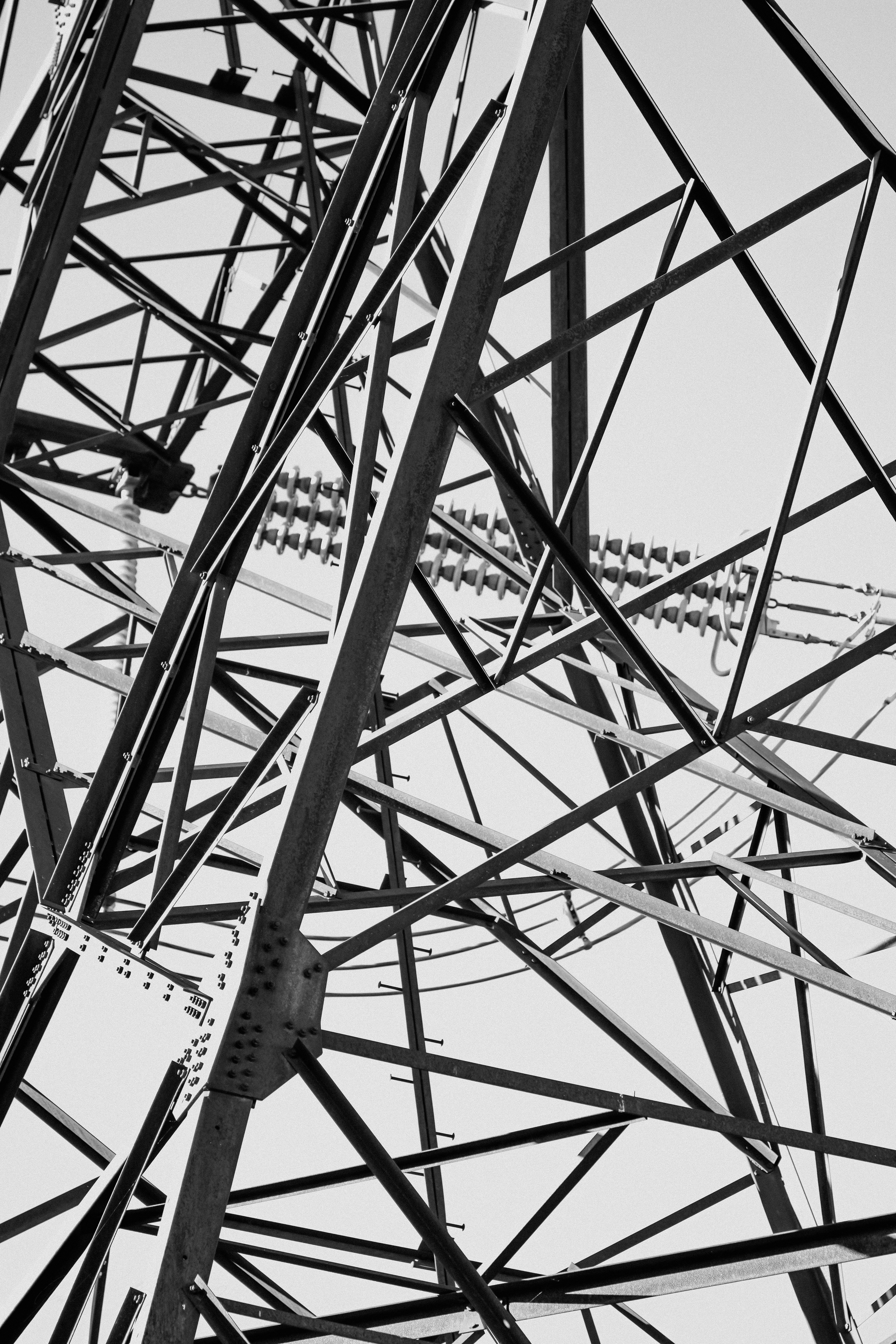 Interwoven Lattice: A Portrait of Structural Geometry in Monochrome
