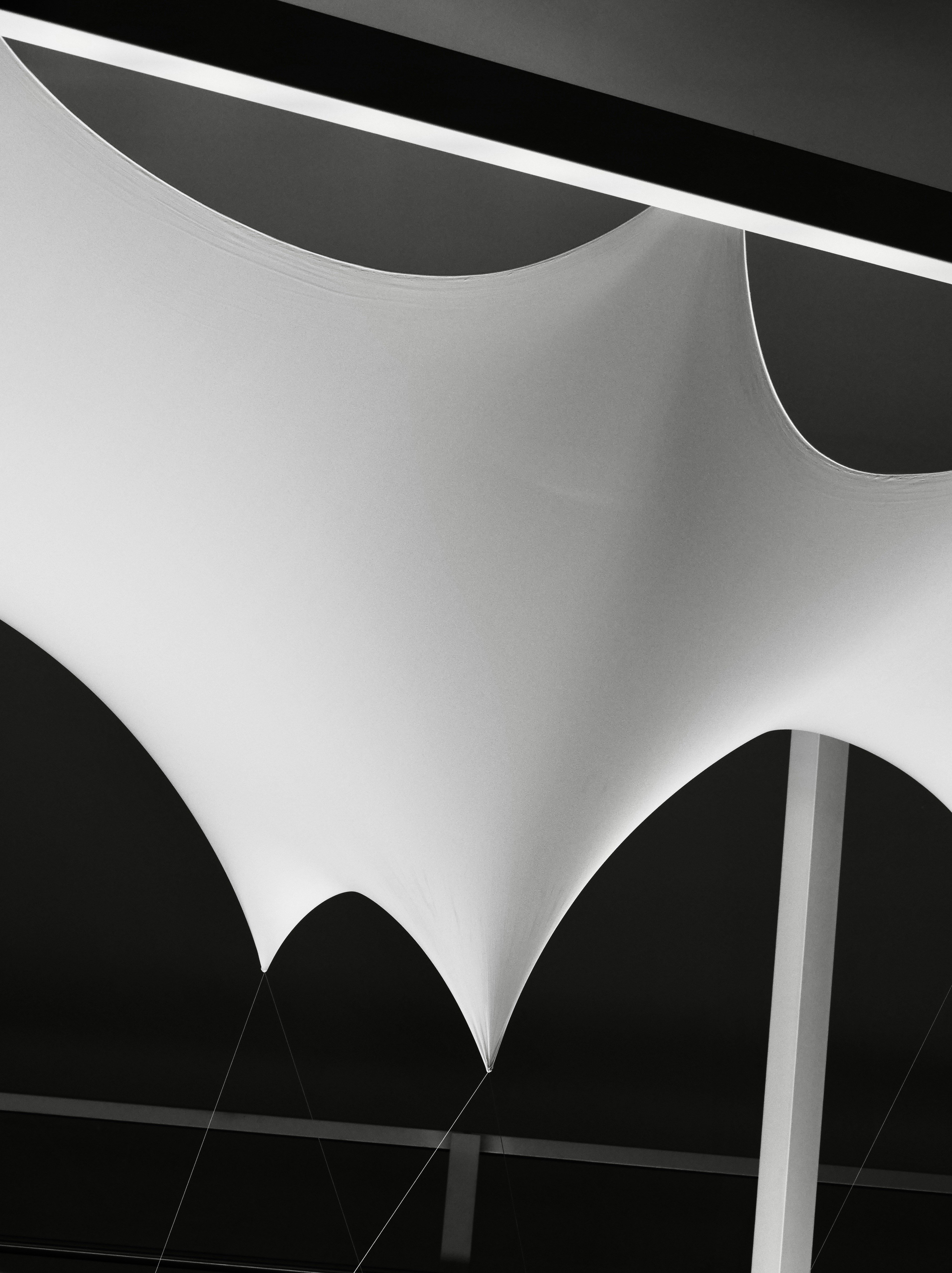 Abstract architectural canopy forms a sculptural, high-contrast composition with curved white fabric tensions against dark backdrop.