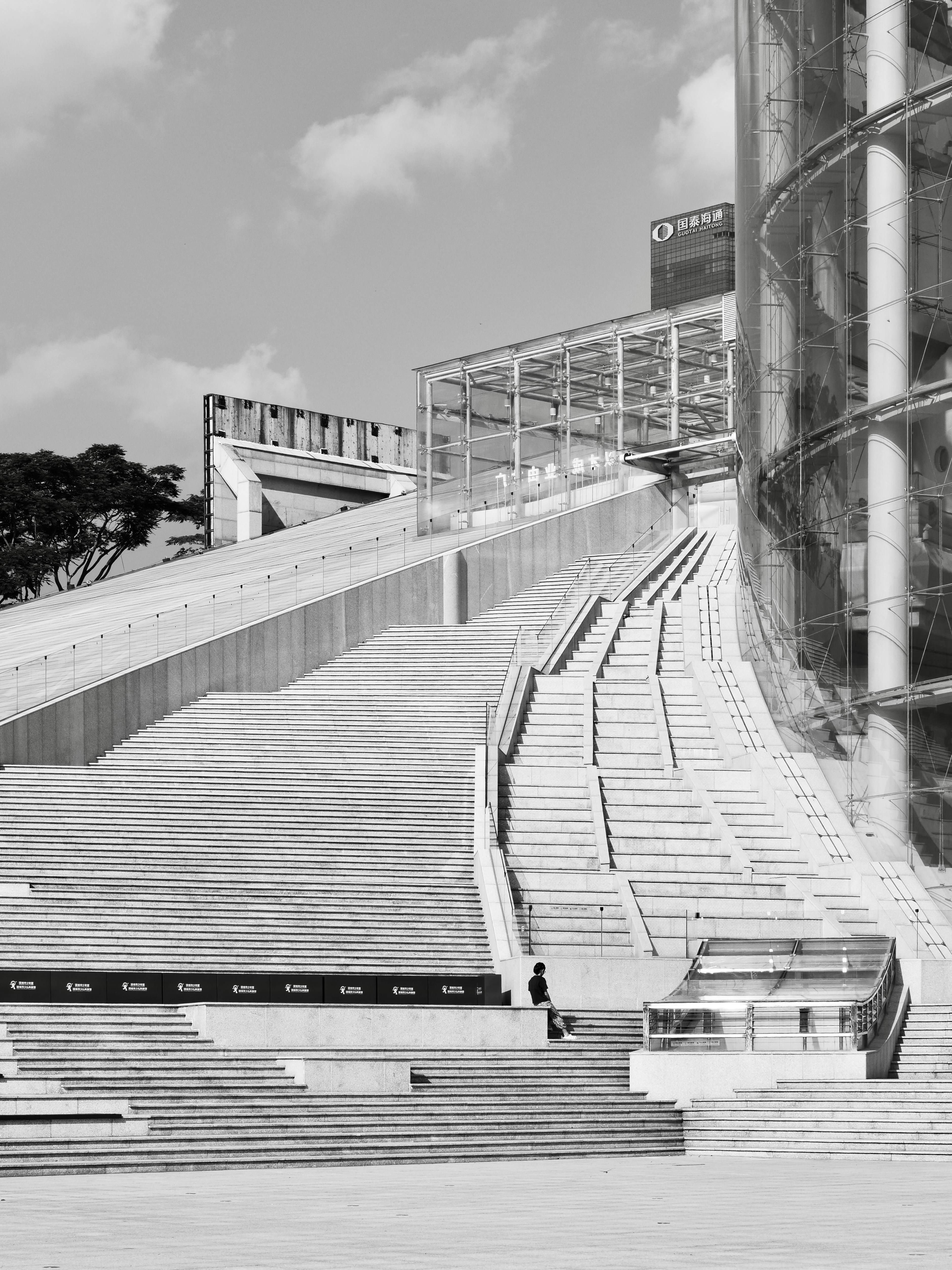 Monochrome urban stairway with architectural forms and a distant figure, emphasizing scale and geometry.