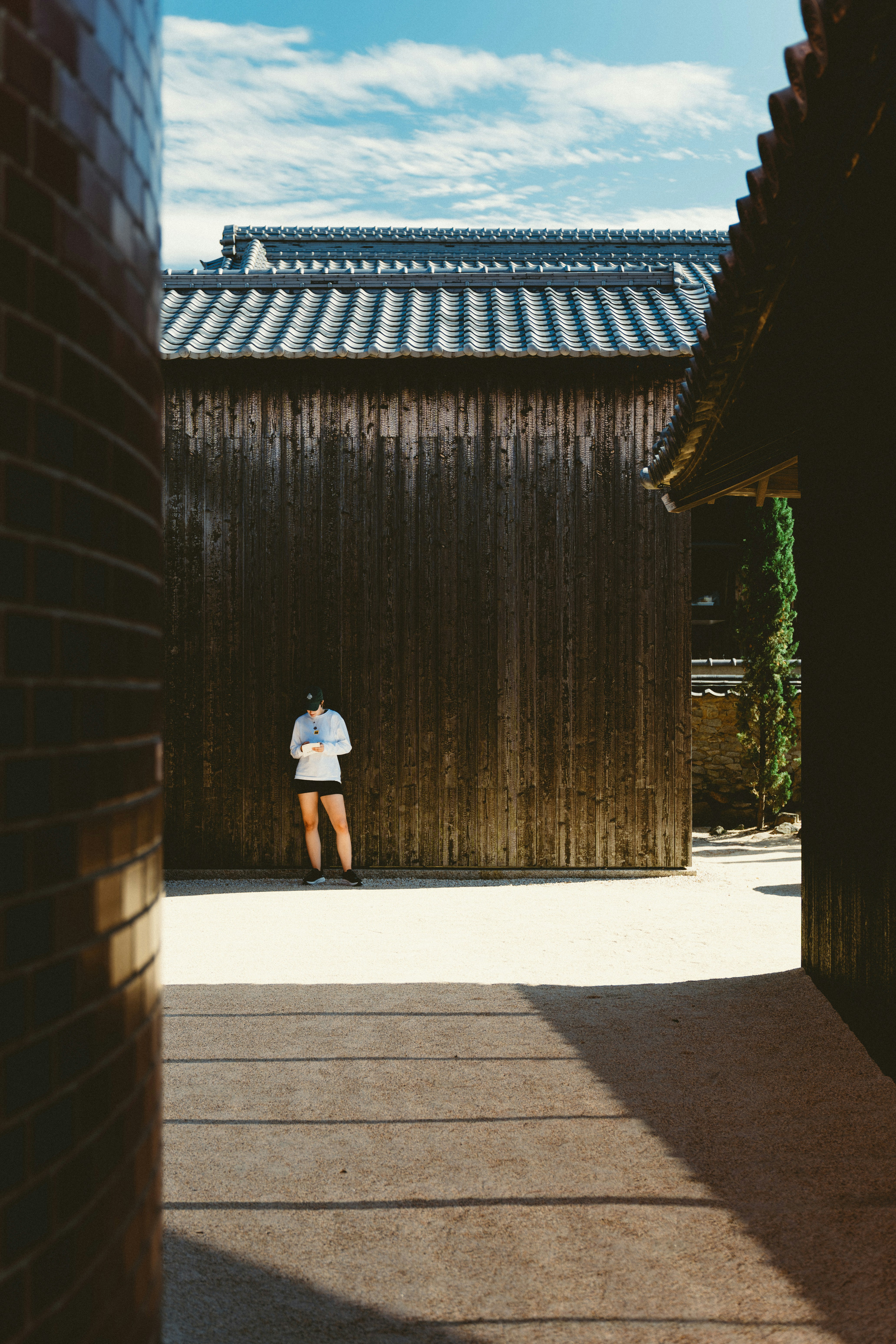 Solitary Visitor in a Wooden Courtyard