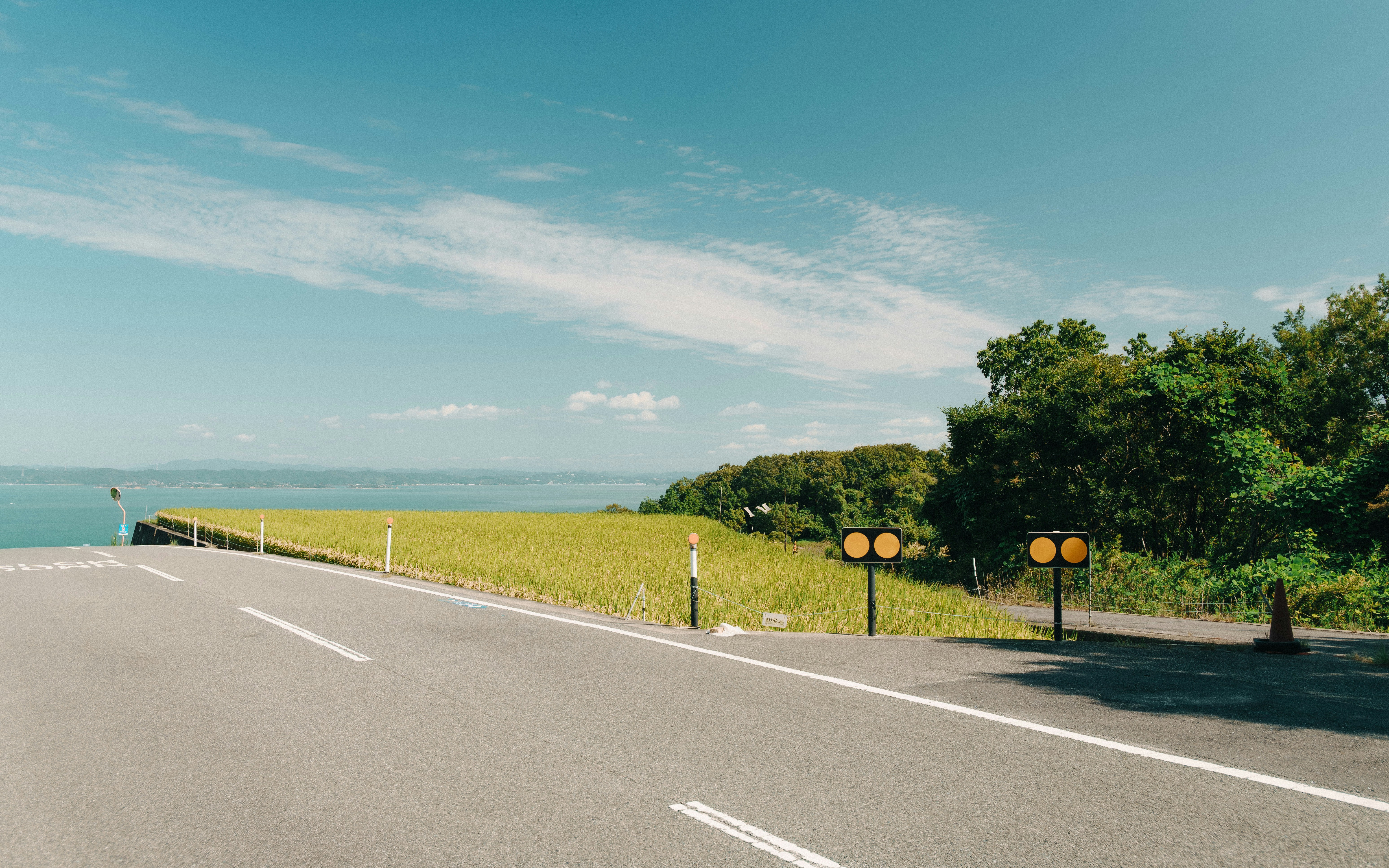 Sunlit coastal road leads toward the sea with grassy dunes and trees to the side; a calm, open scene emphasizing horizon and minimal traffic. This is a landscape photograph.
