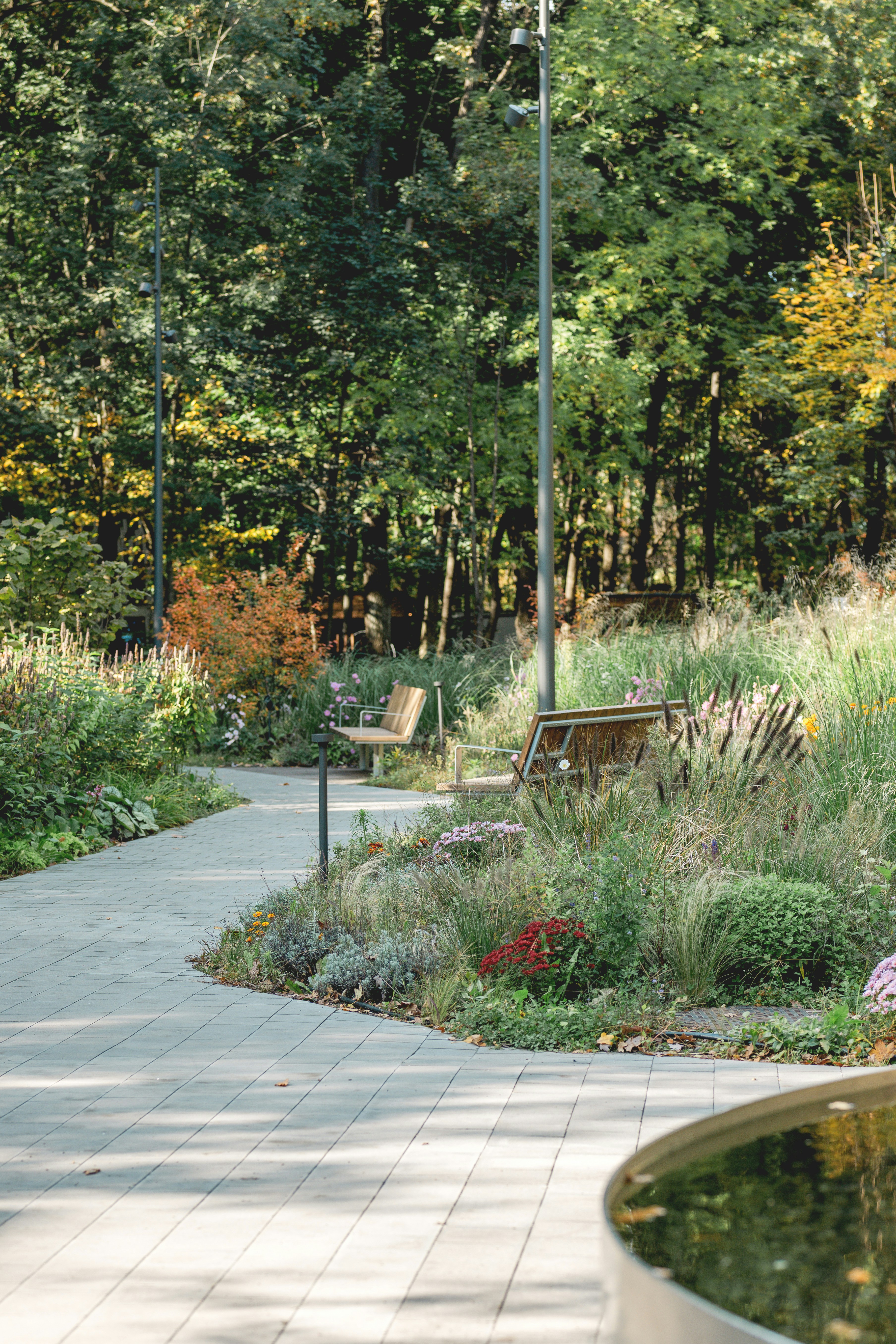 Lazy Sunlit Pathway Amid Garden Benches and Water Feature