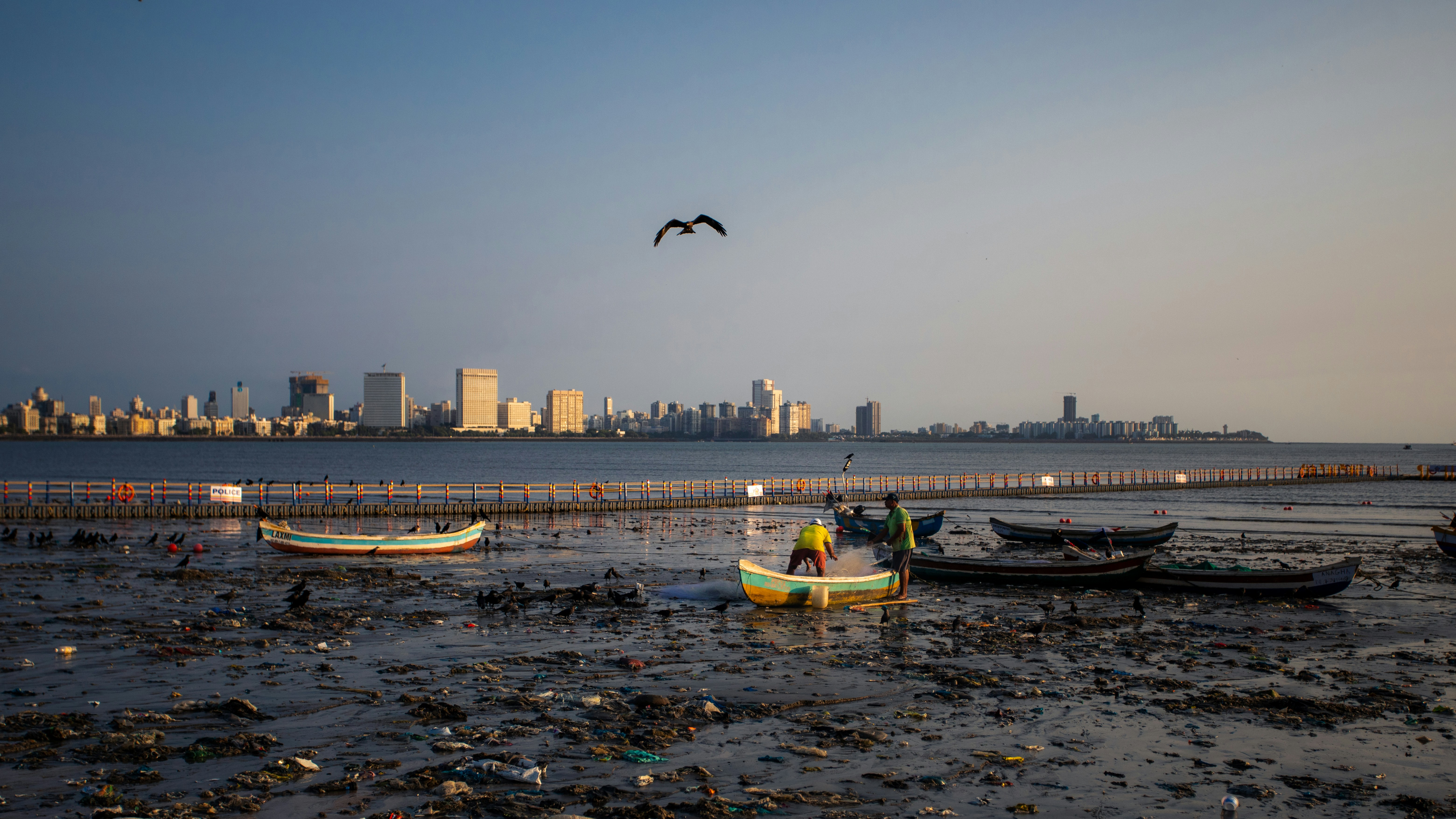 Harbor at Dusk: Boats Rest on Tidal Marsh with a Cityline Backdrop