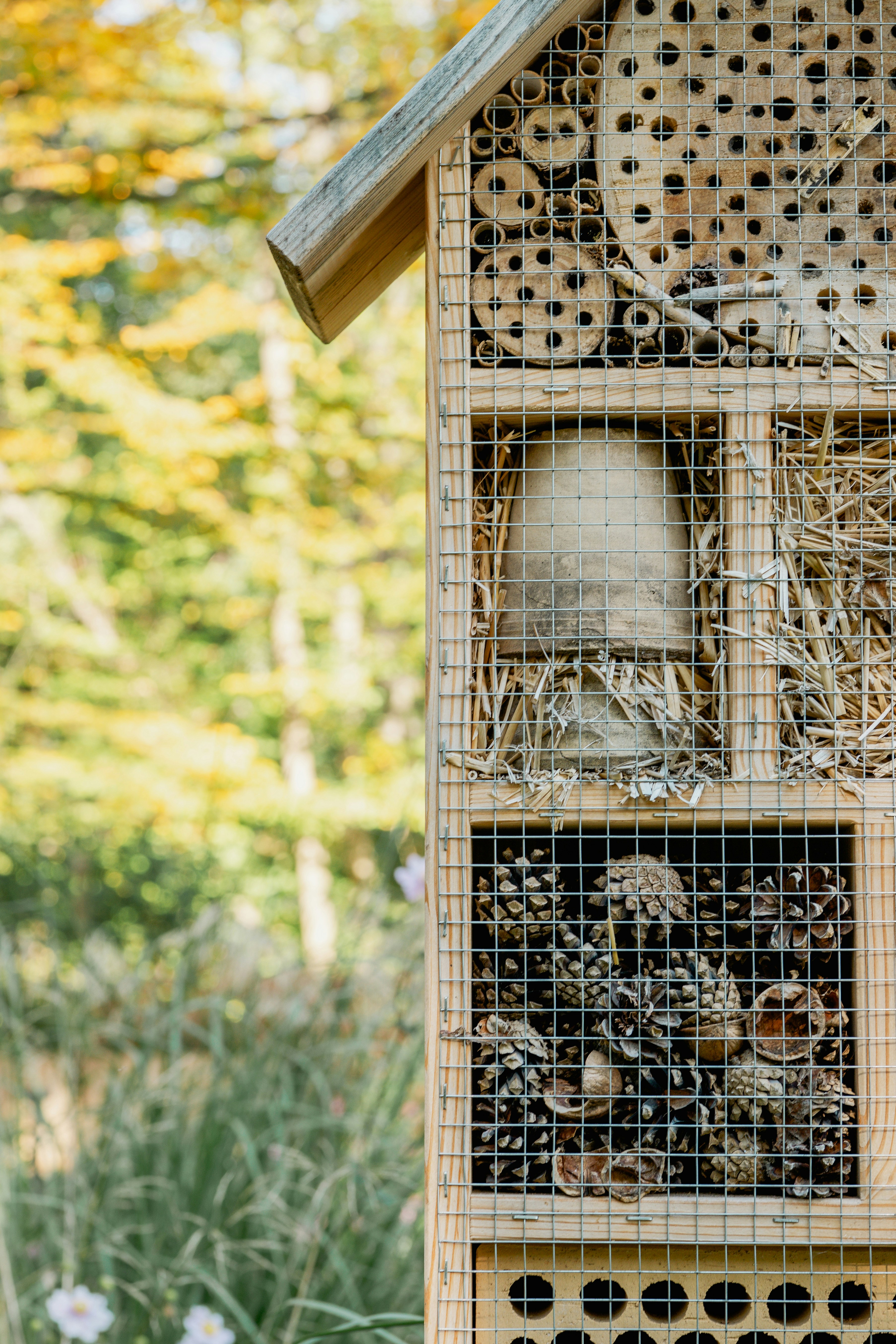 Vertical Chicken Coop Panorama: Nest, Nesting Box, and Stacked Woodwork