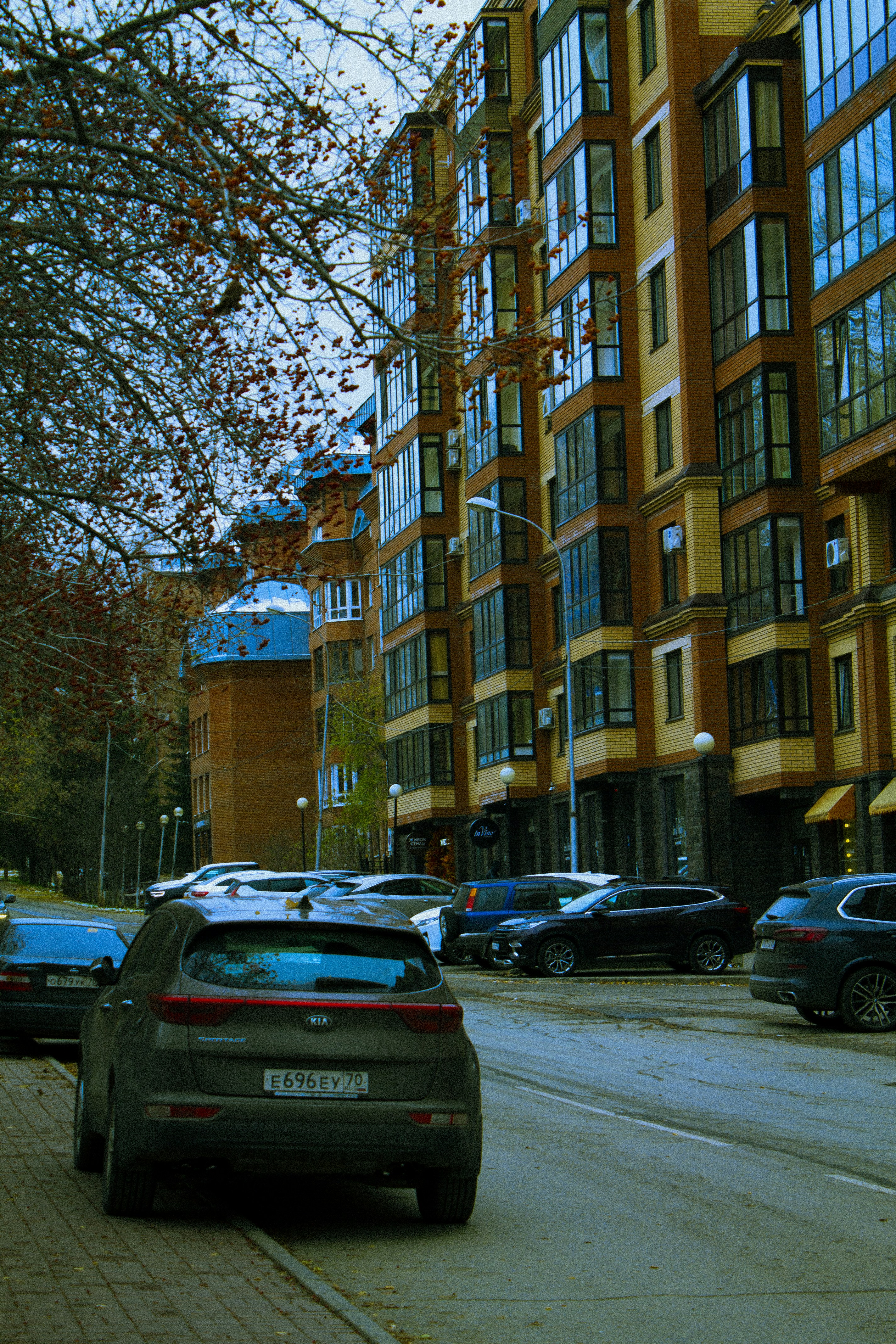 Muted urban street with parked cars along a brick apartment block, tree branches overhead, and a damp pavement.