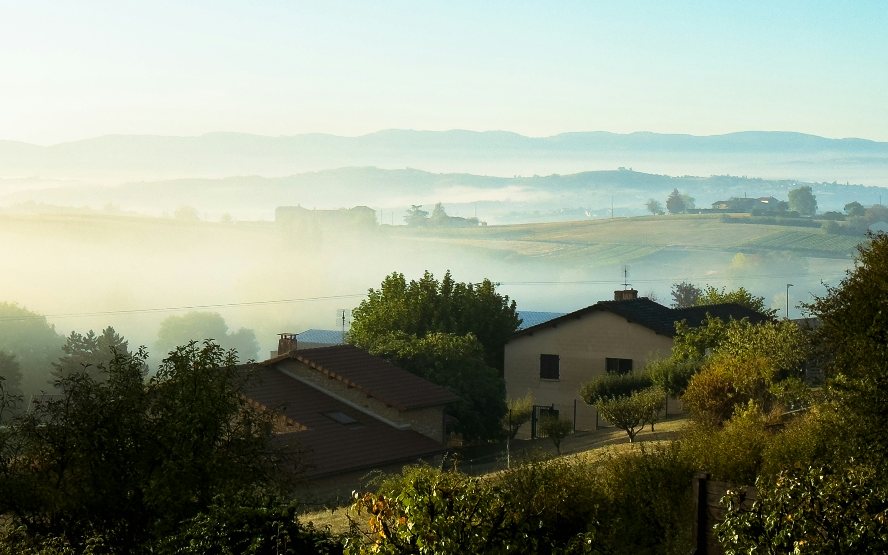 Mist Over the Gentle Hills: Sunlit Ridge and Quiet Homes