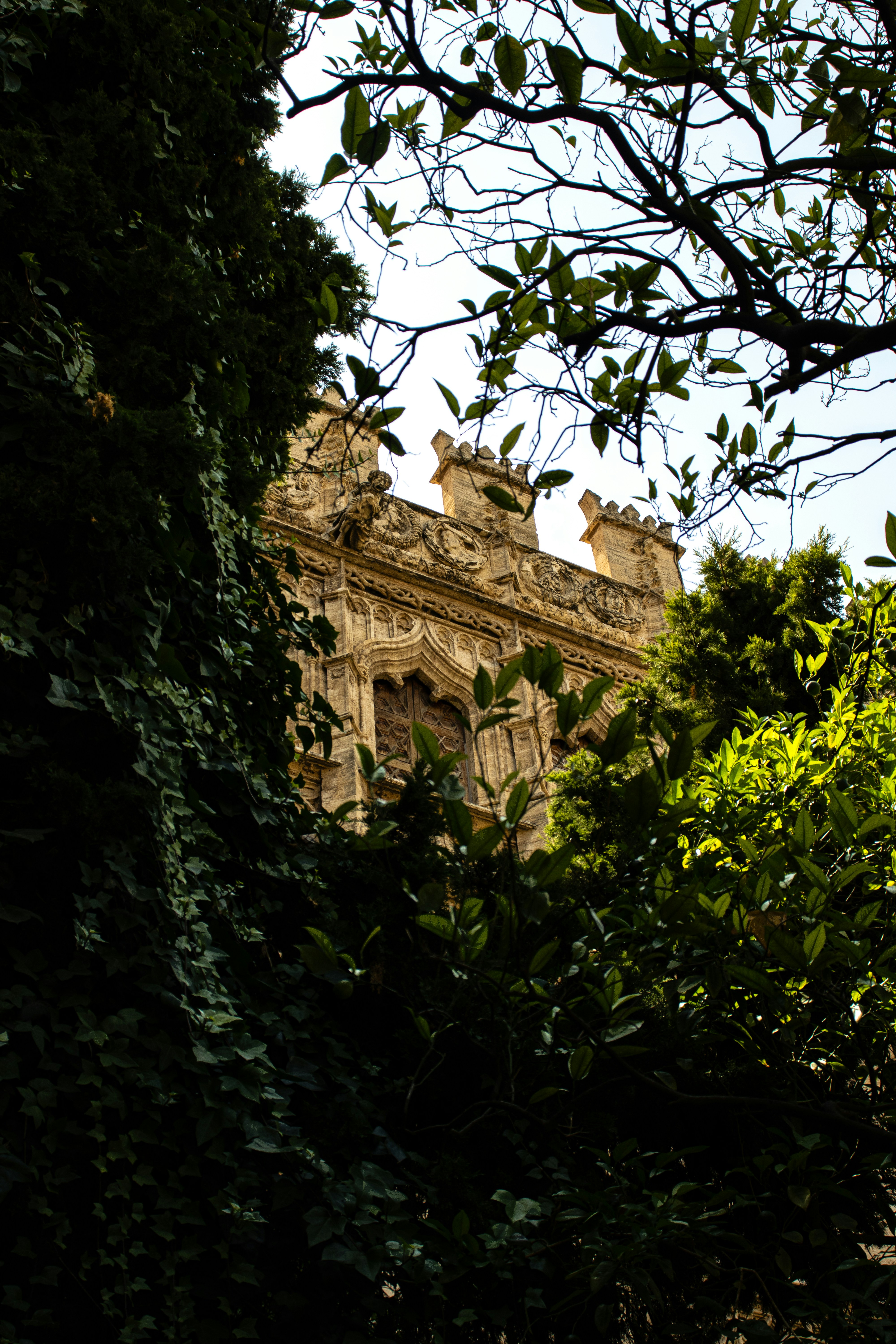 Photo by Julie Keca with Canon EOS 250D