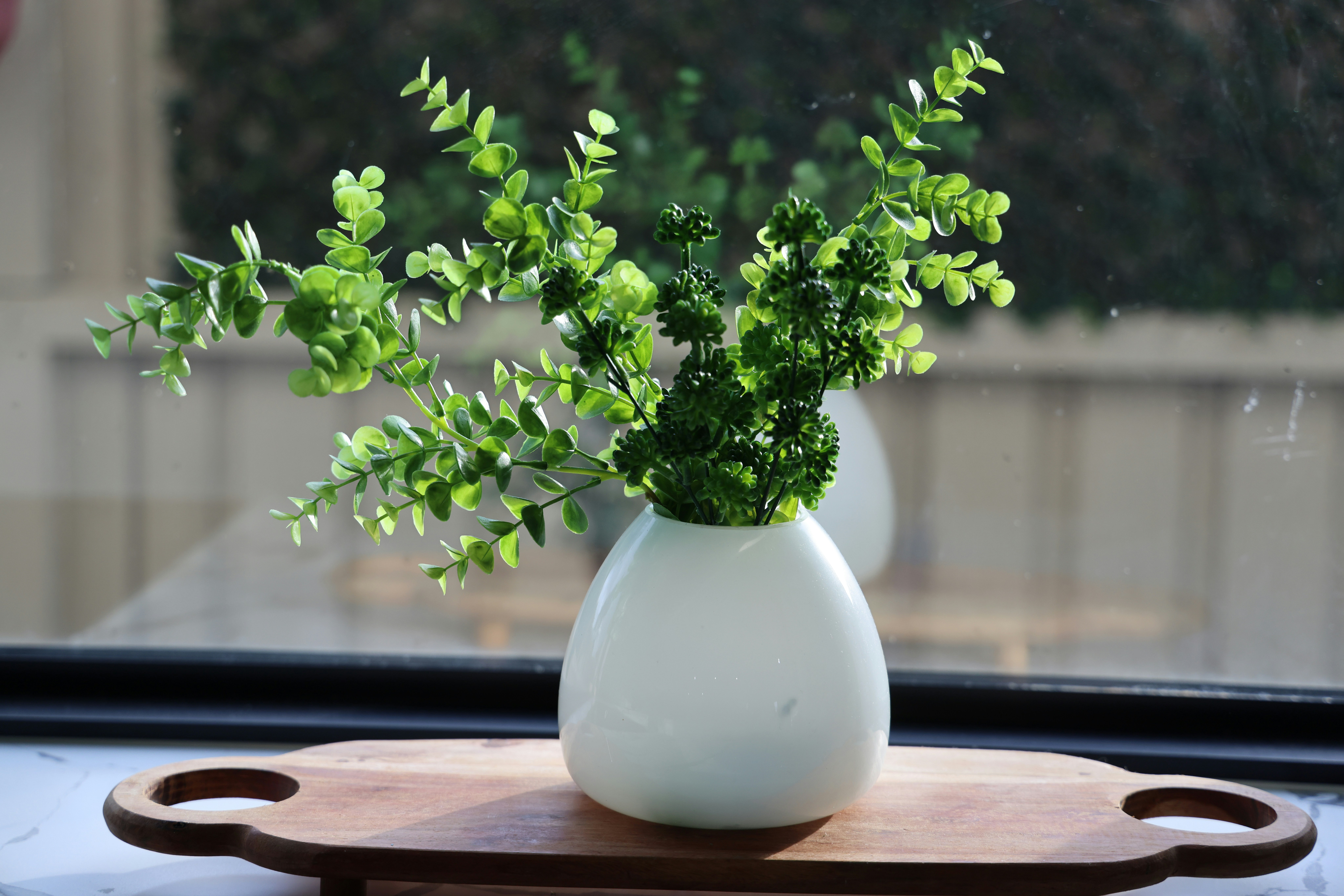 Minimal Still Life: Greenery in a White Vase on a Windowsill