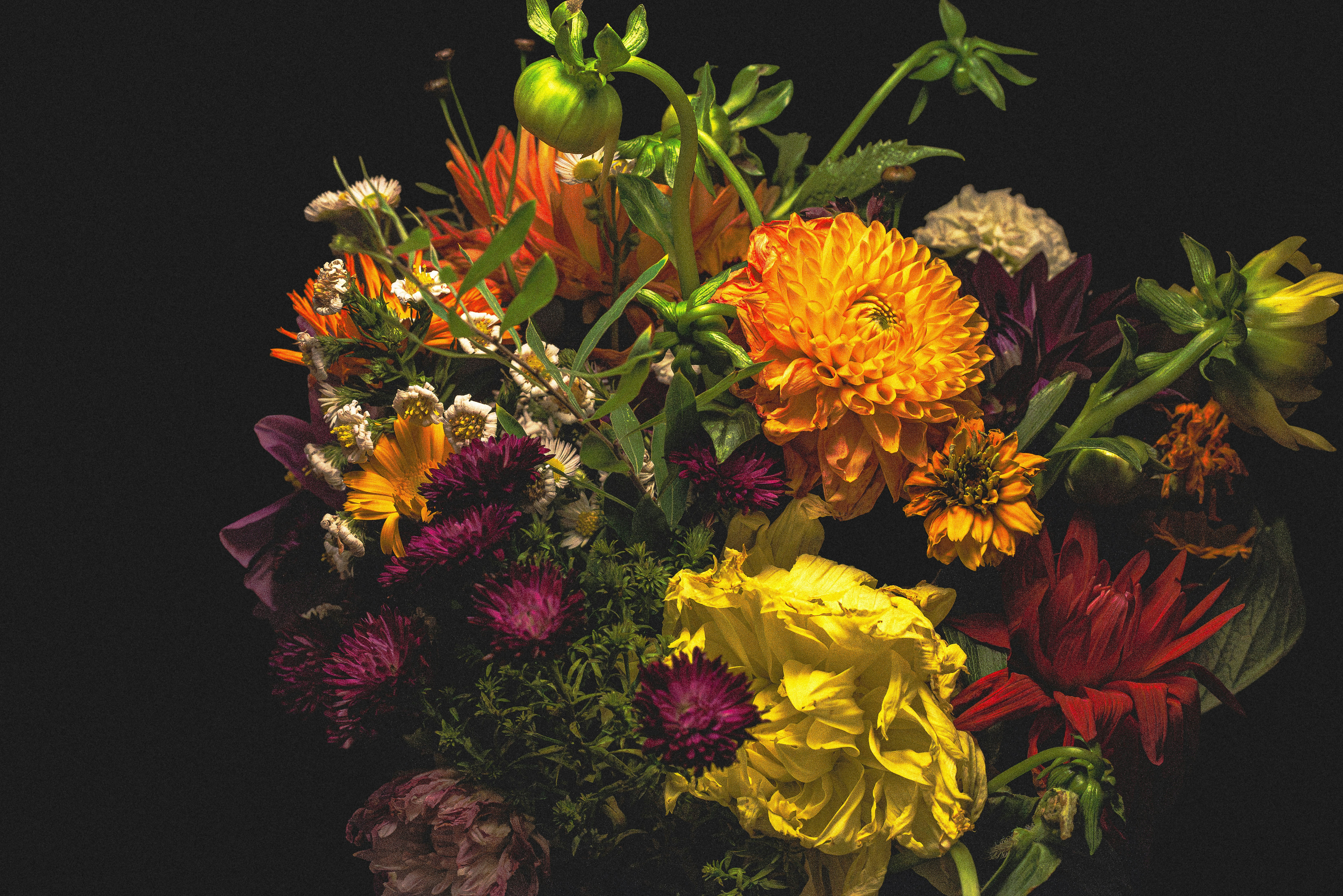 Vivid Floral Burst Against Velvet Night