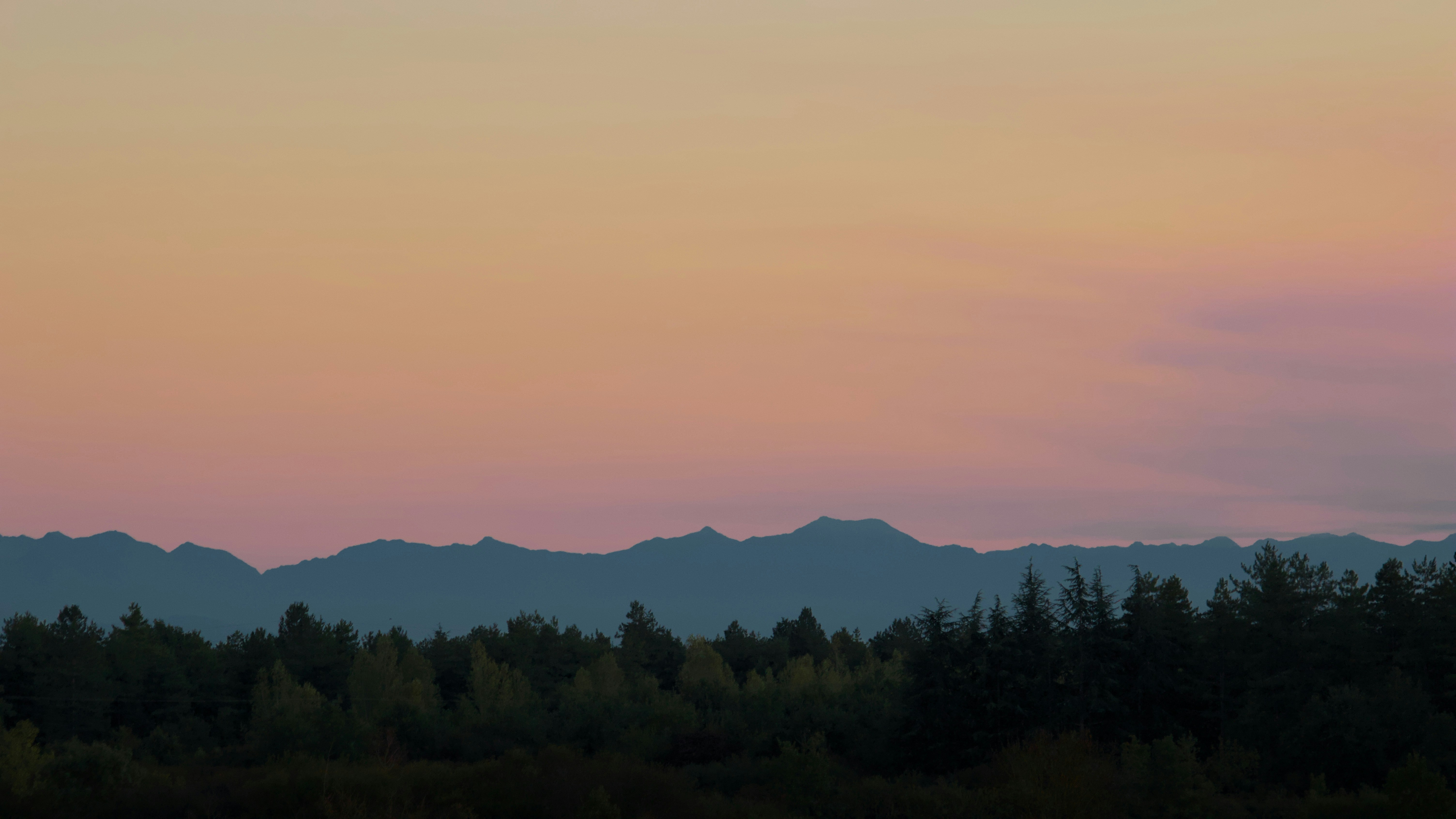 Dusk on the Ridge: Silhouetted Pines Against a Peach Horizon