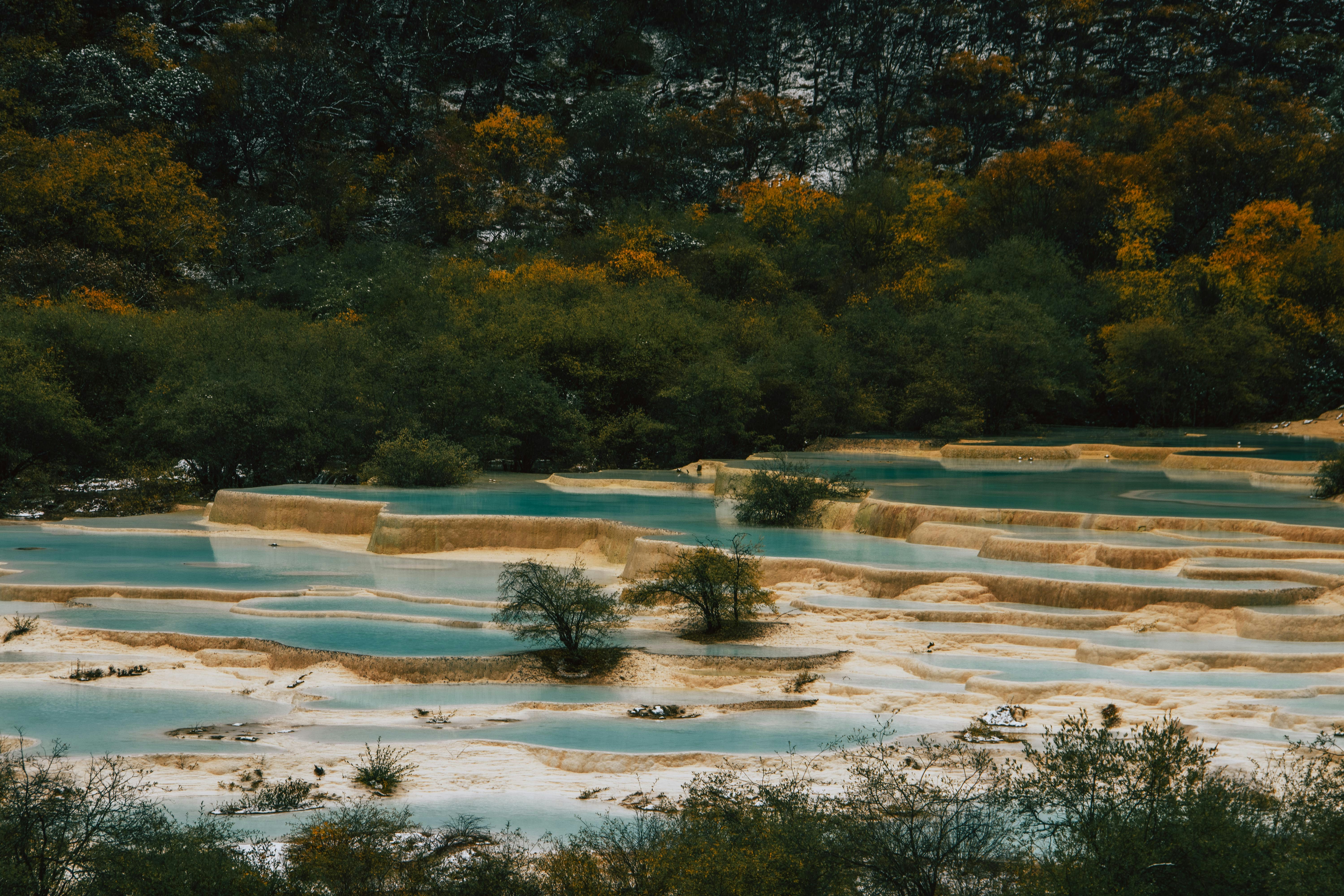 Terraced Turquoise: Mineral-Pit Pools Amid Deserted Pines