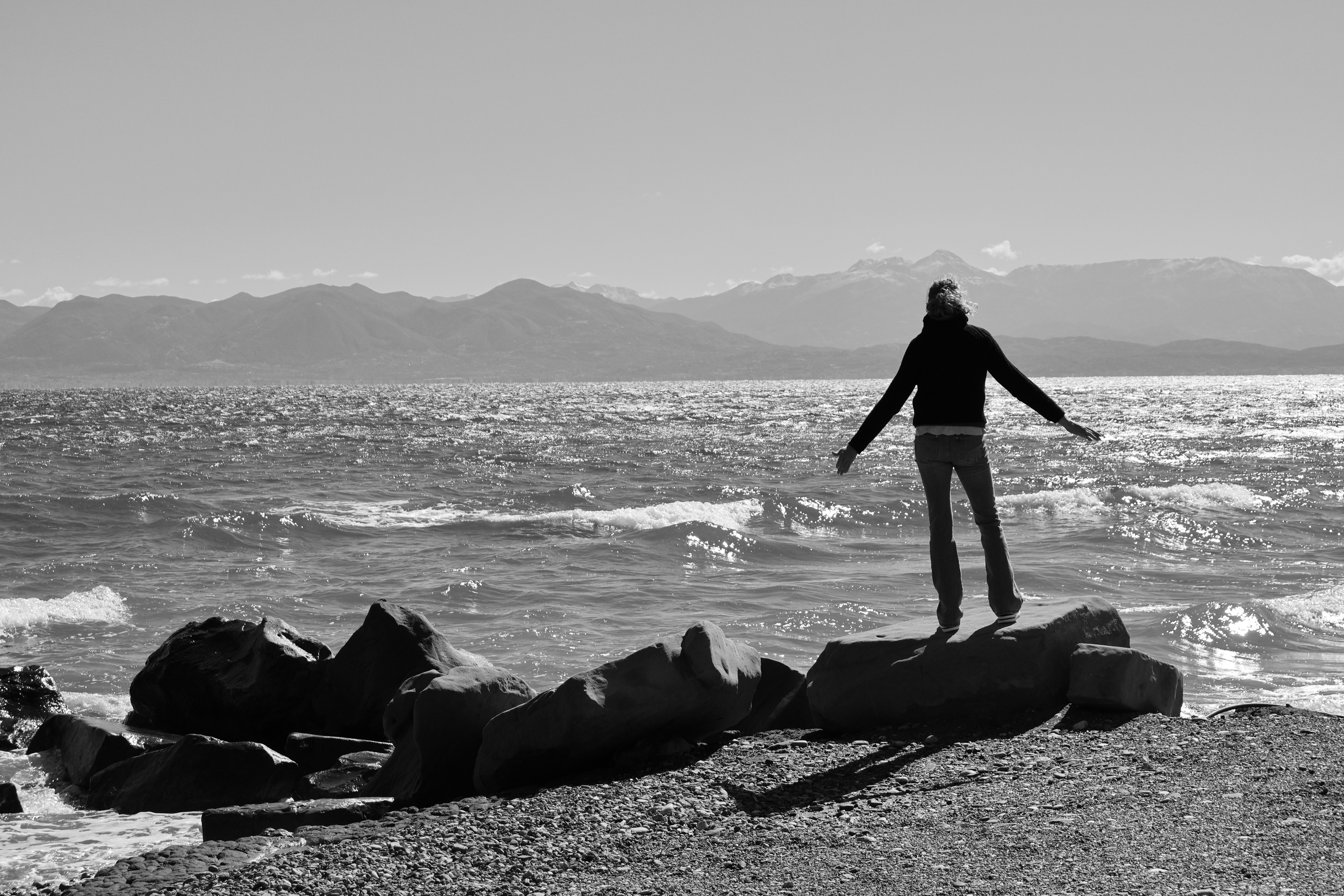 Solitary Stance on the Shoreline