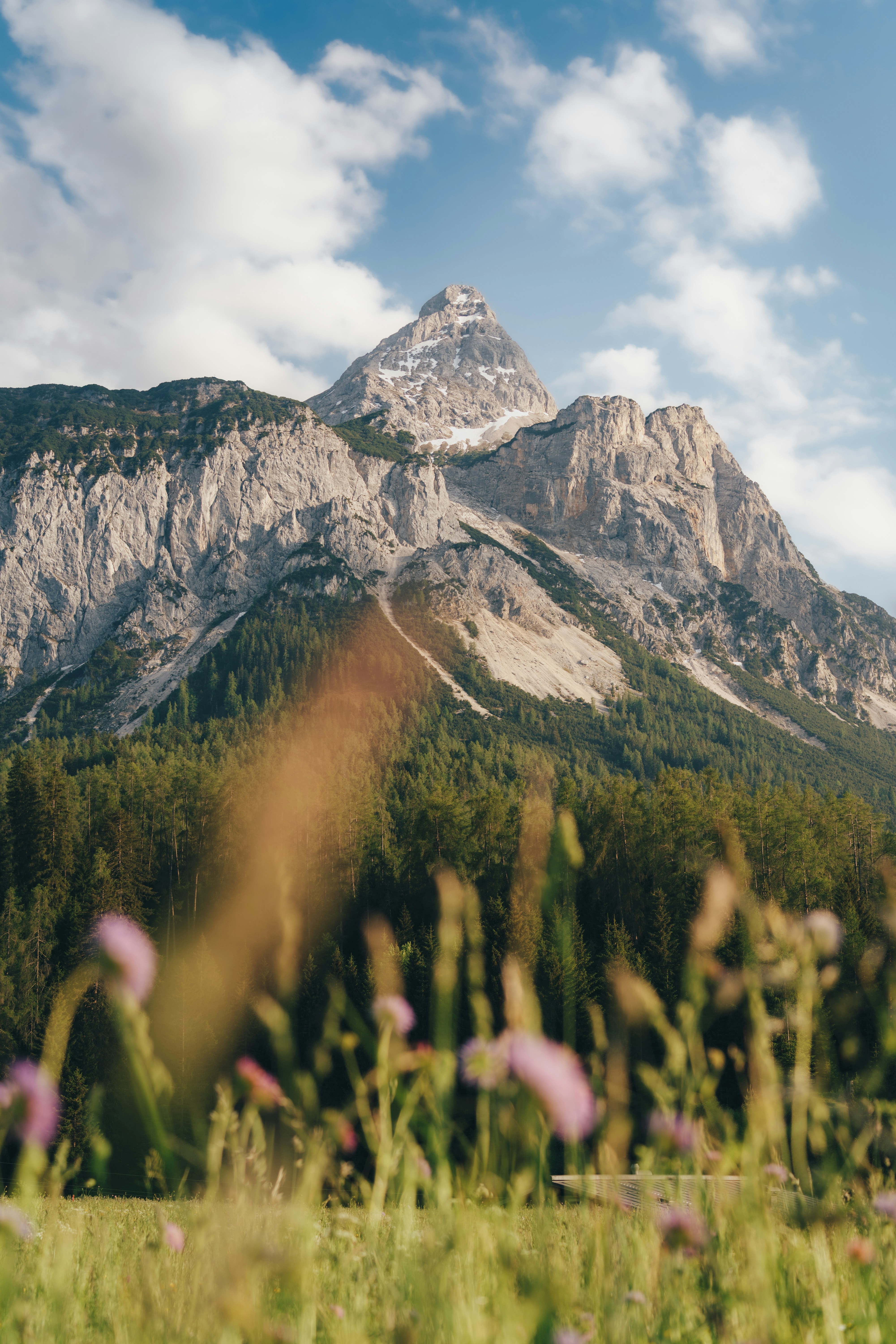 Sunlit alpine peak rises above forested slopes with wildflowers in the foreground; a tranquil mountain meadow leads to rugged rock faces under a bright sky. (Logo/branding not present.)