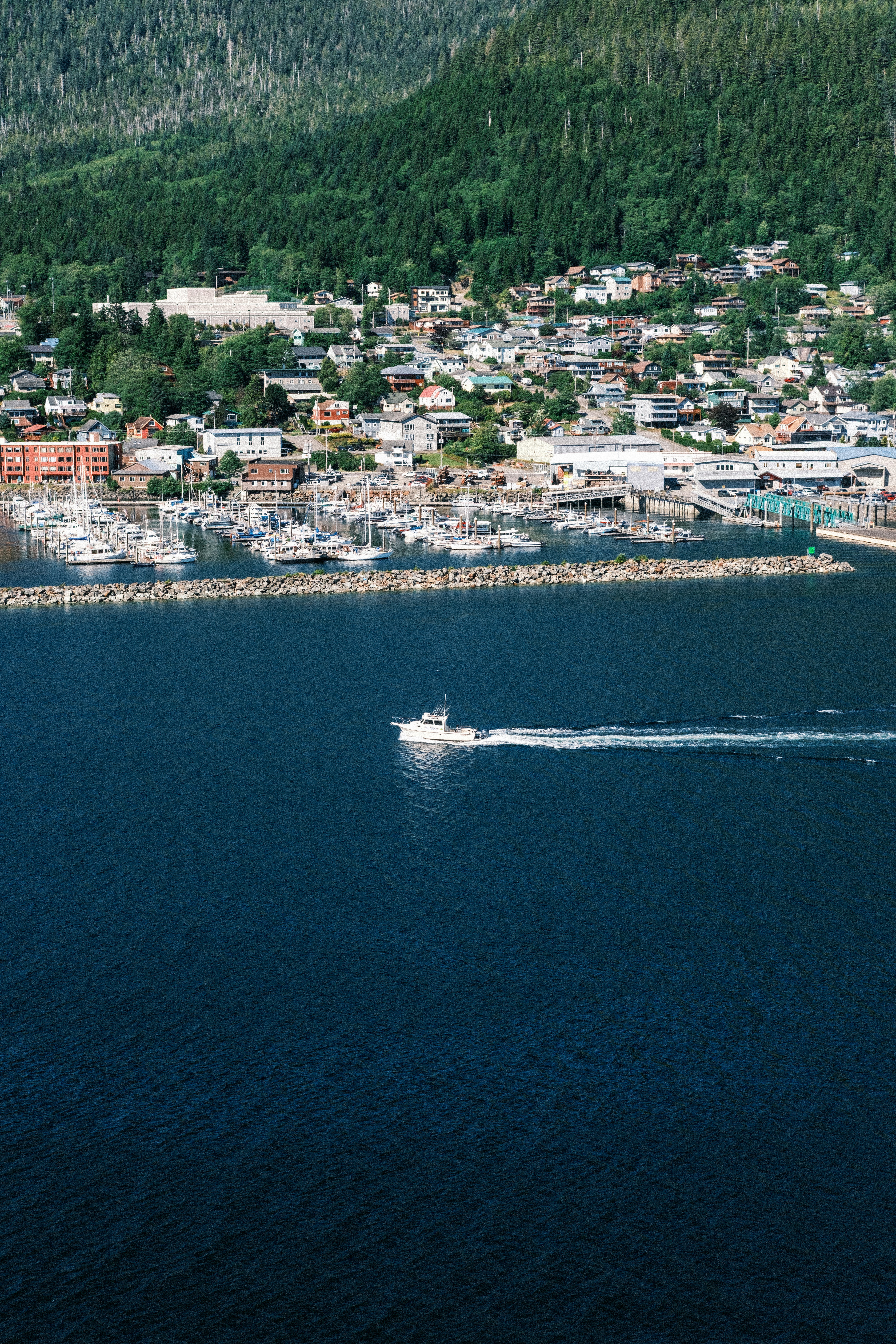 Harbor Crest: A Boats-and-Houses Panorama Bordered by Forested Slopes