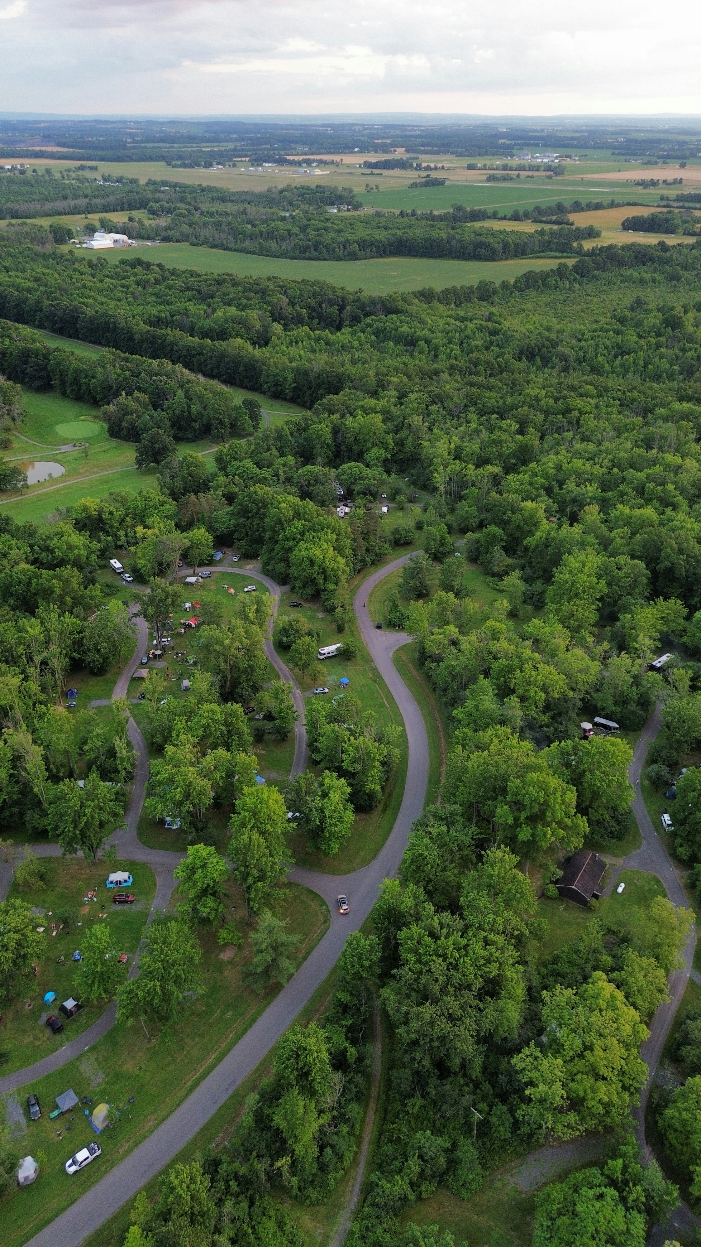 Aerial view of a winding road network cutting through a dense forest and scattered clearings, with fields and distant farmland on the horizon.