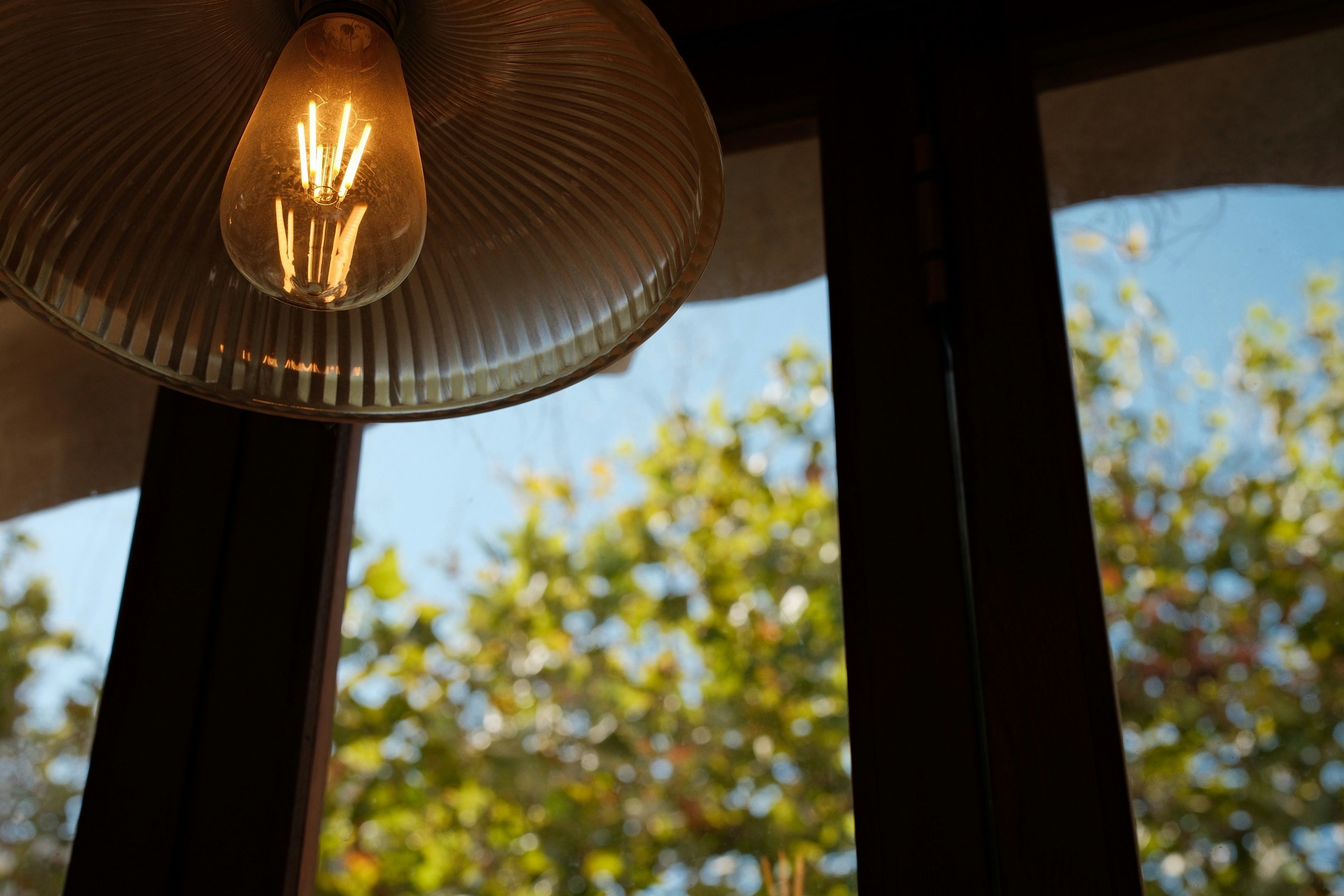 Warm Glow through Dark Frames