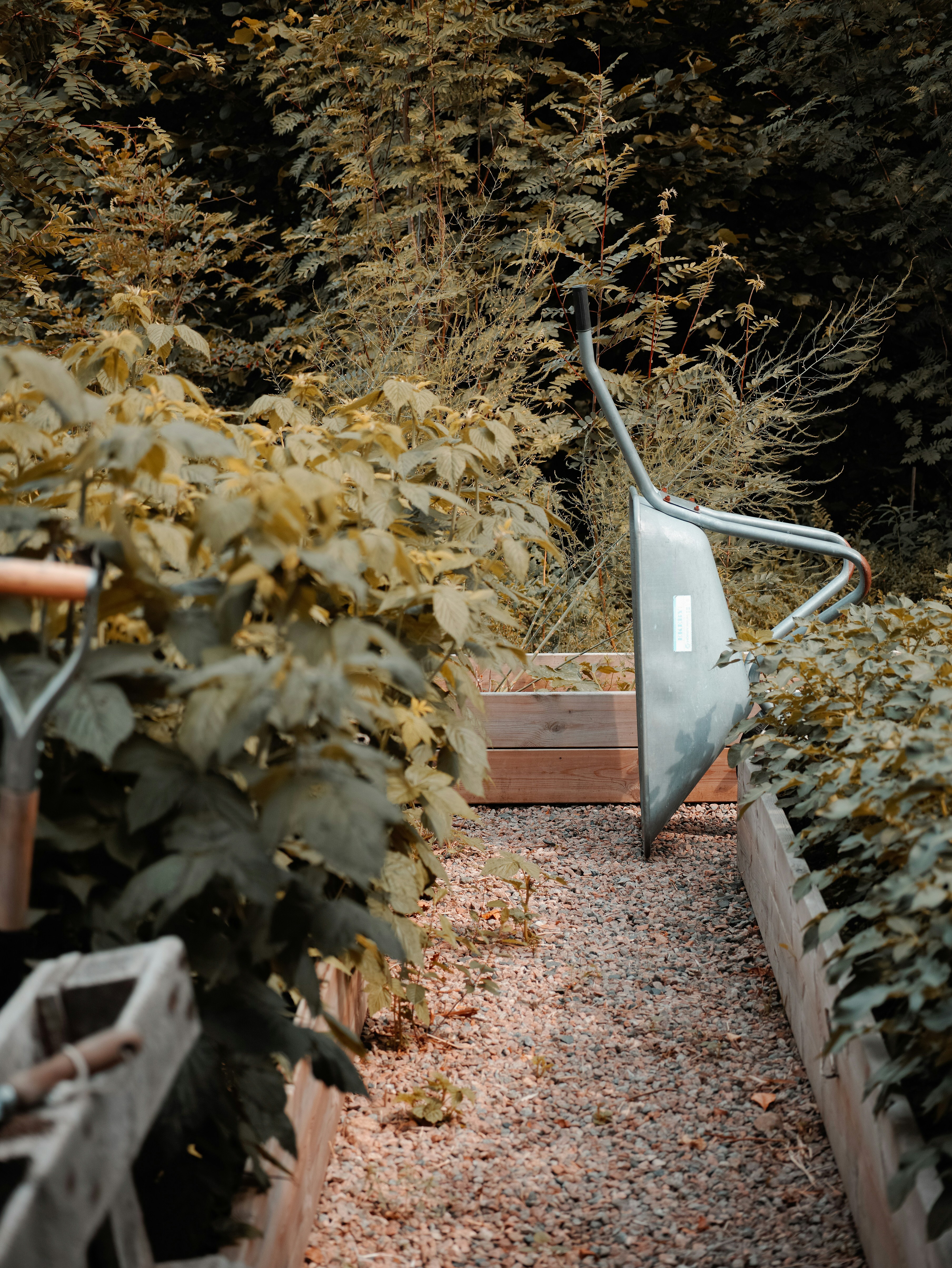 Overgrown Path to a Wooden Doorway