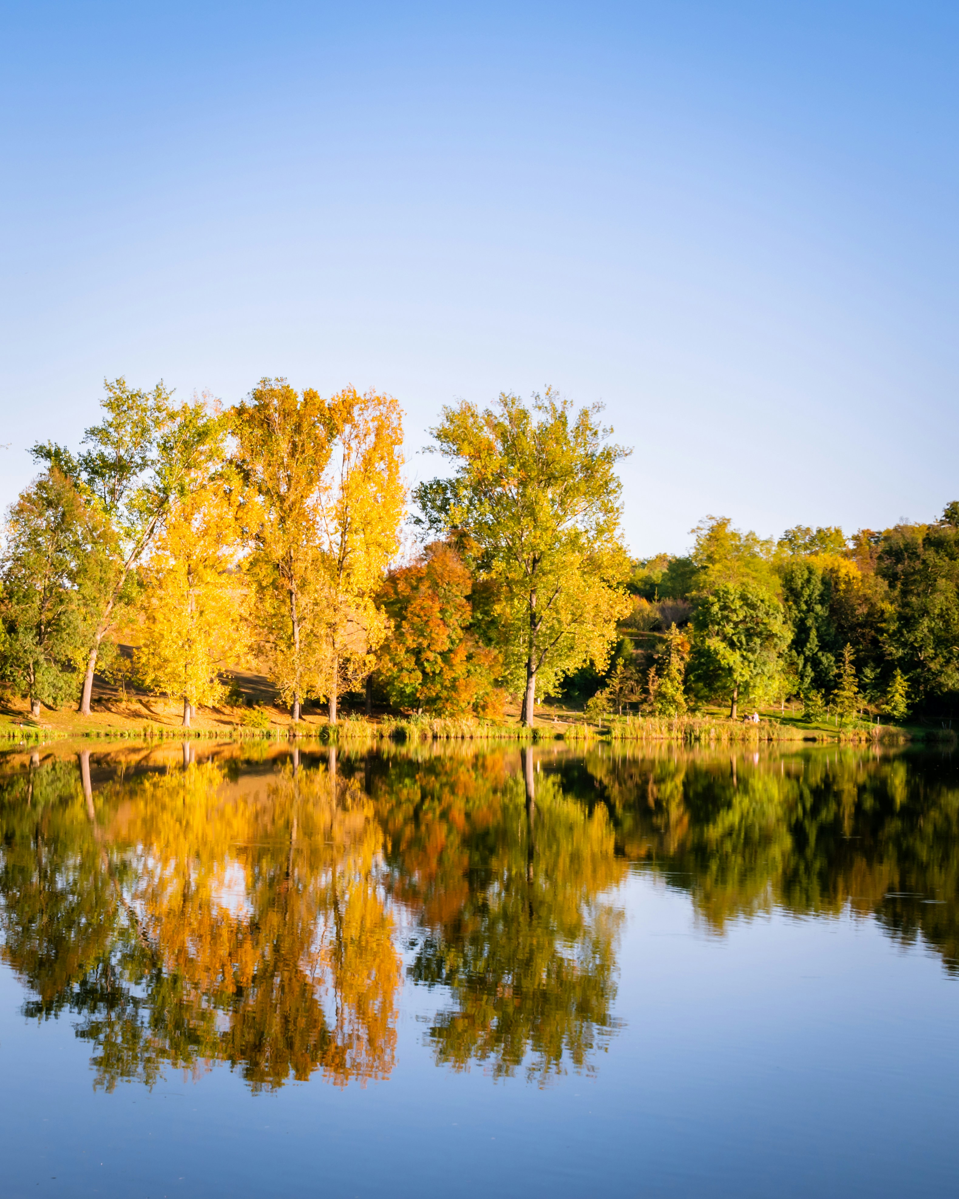 Autumn Waterfront Reverie