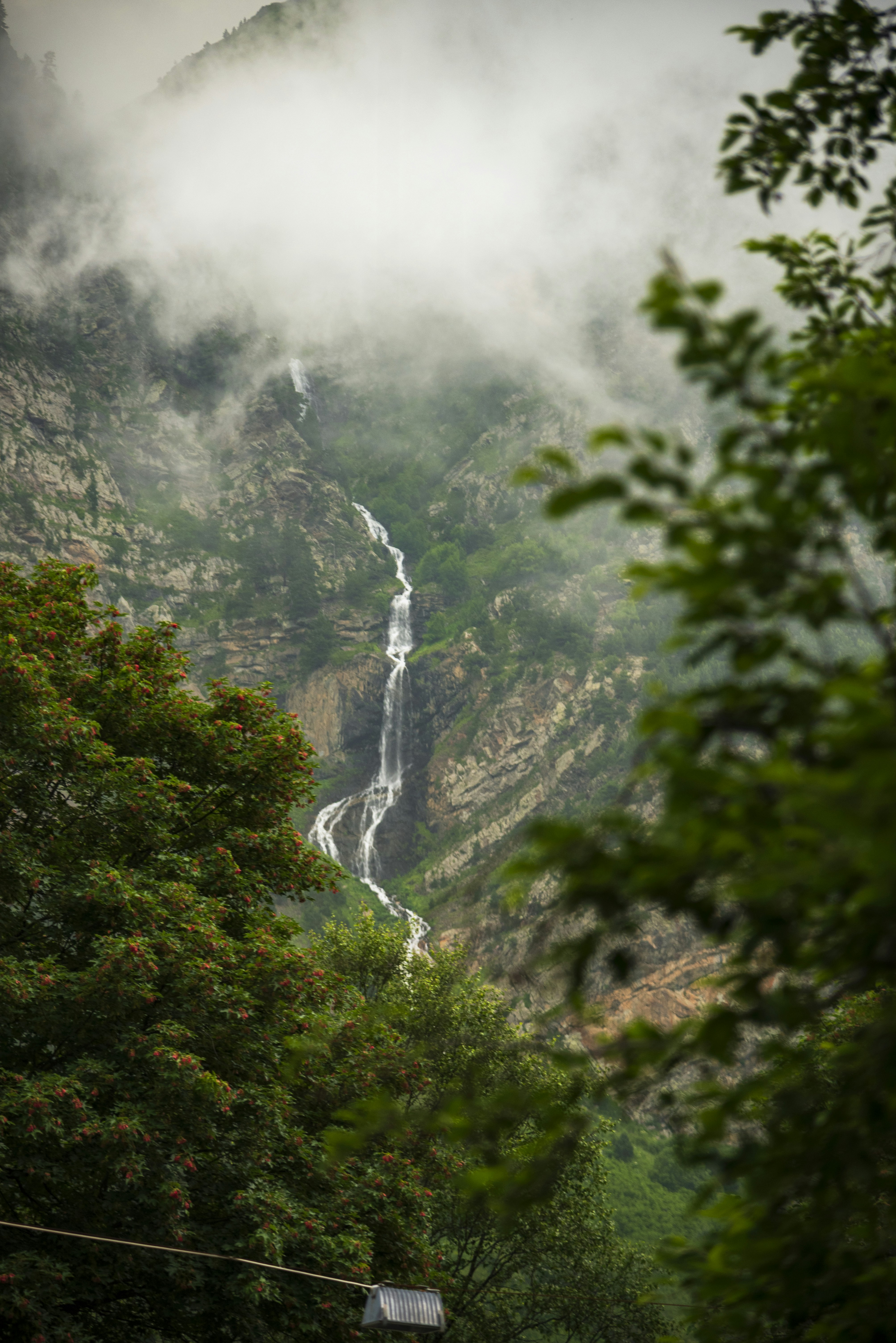 Misty Cascade Behind Green Veils