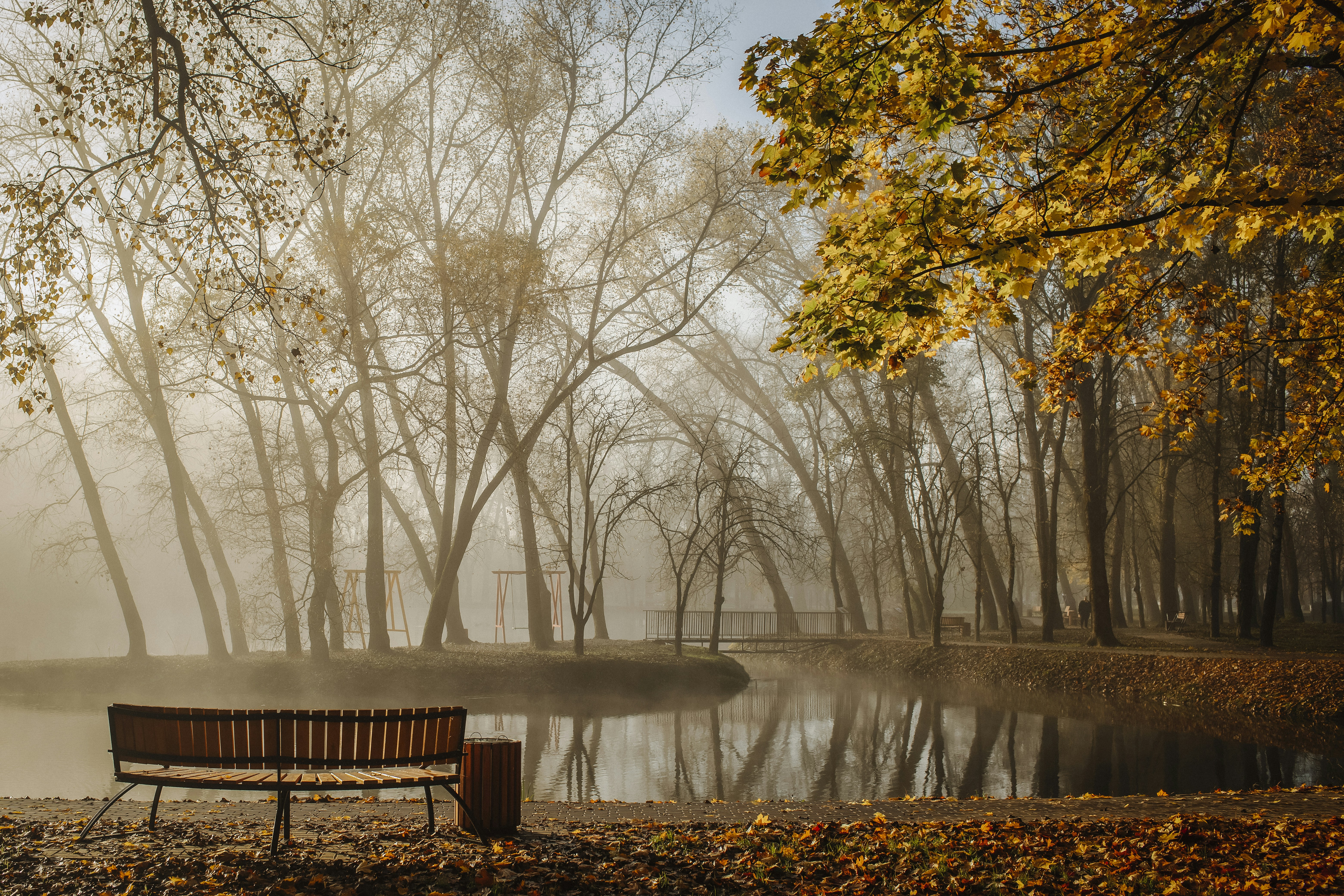 Autumn Mist Over the Benched Lake