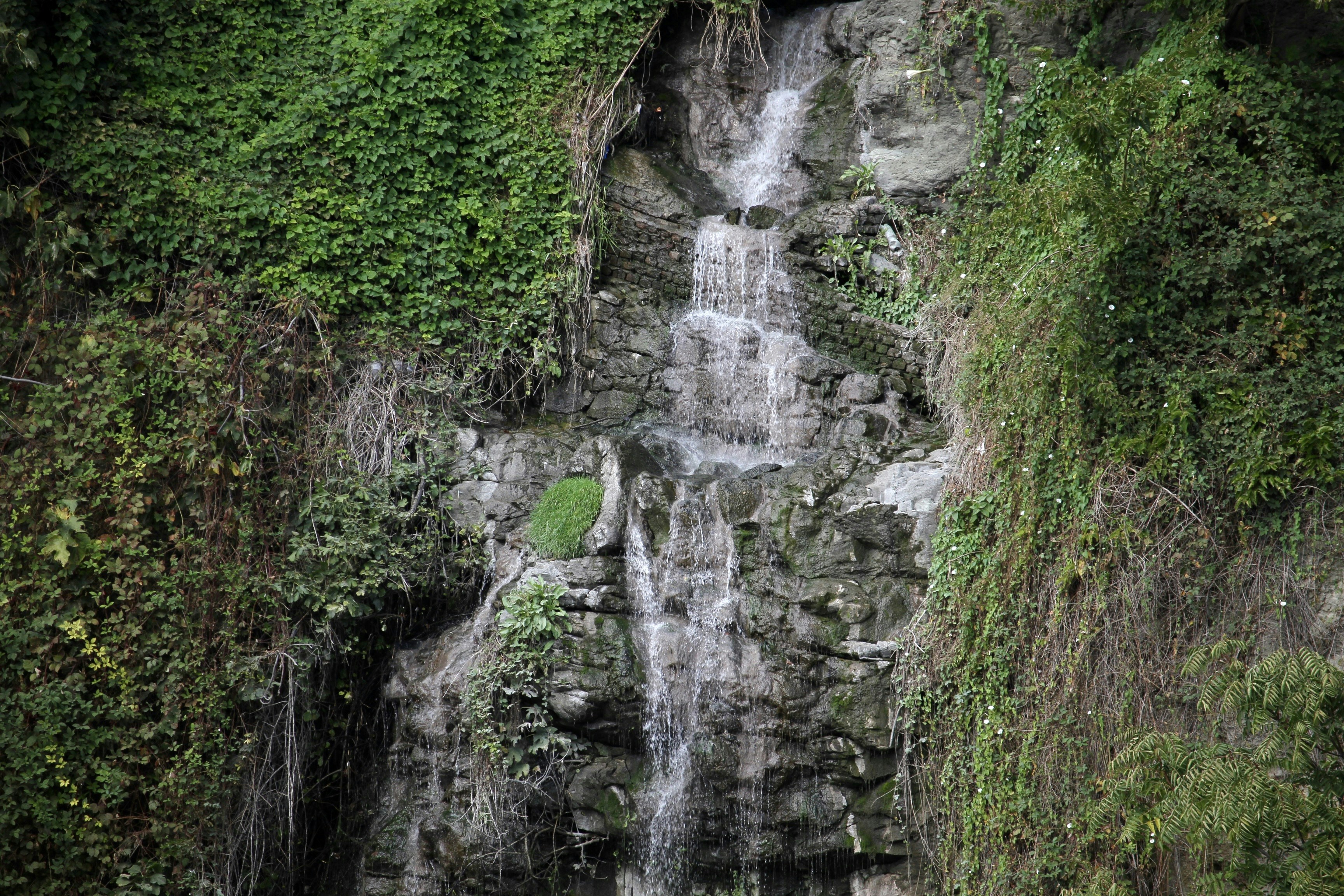 Verdant Cascade: Mossy precipice slipping into a quiet gorge