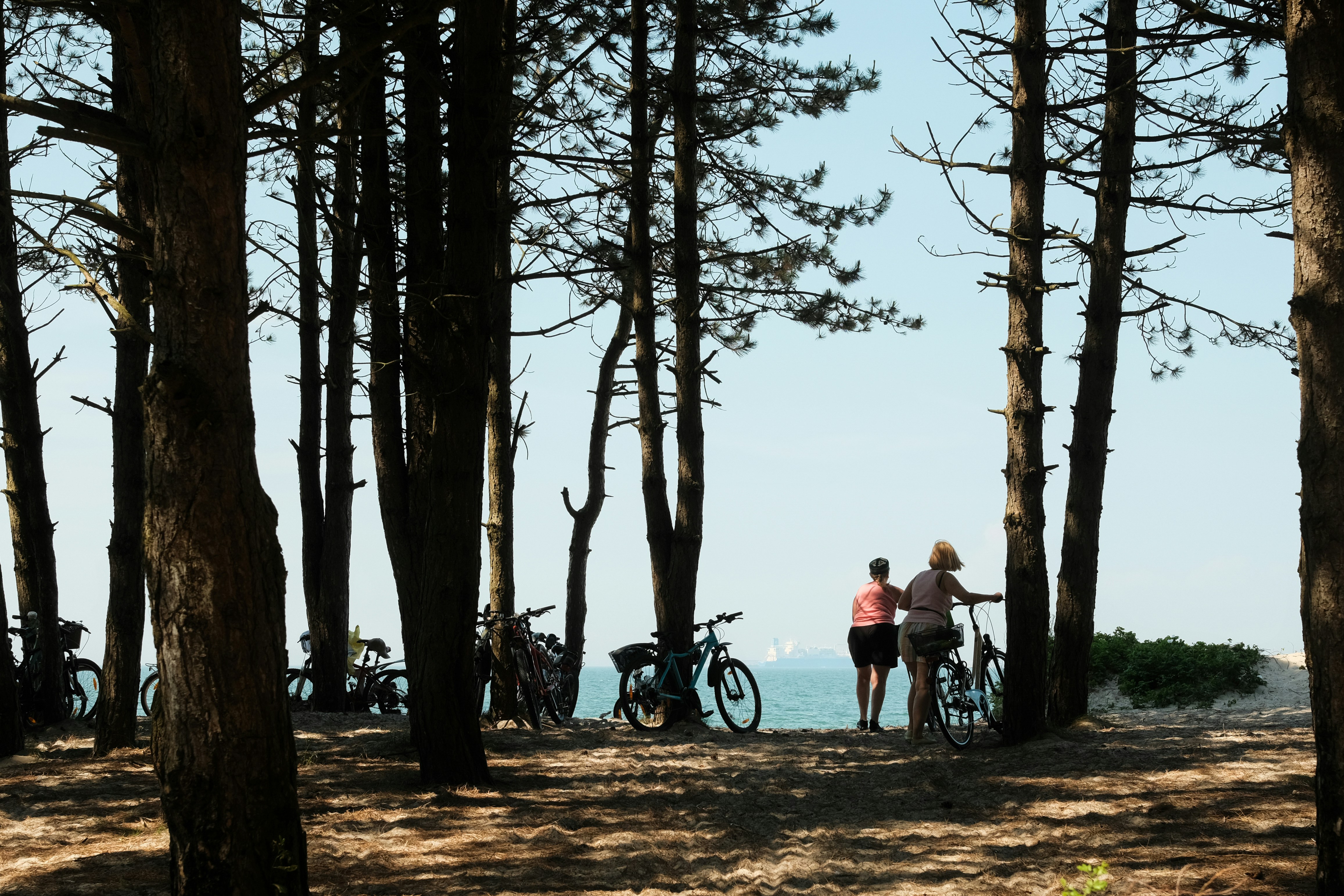 Two Beachside Riders Rest by the Pines