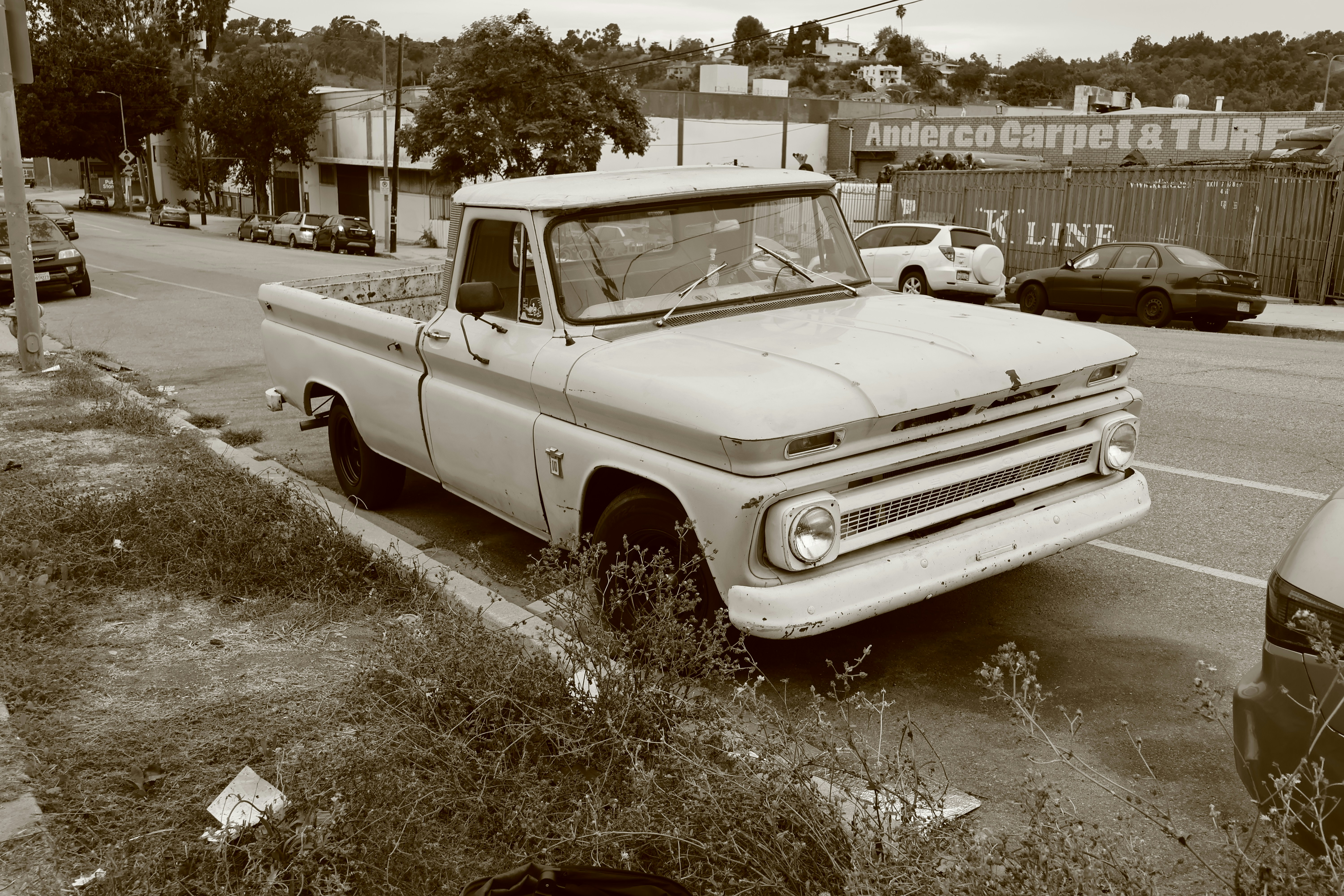 A weathered vintage pickup sits at the curb with tall weeds edging the foreground, a sidewalk, and storefronts in the background—capturing a quiet urban scene with muted tones.