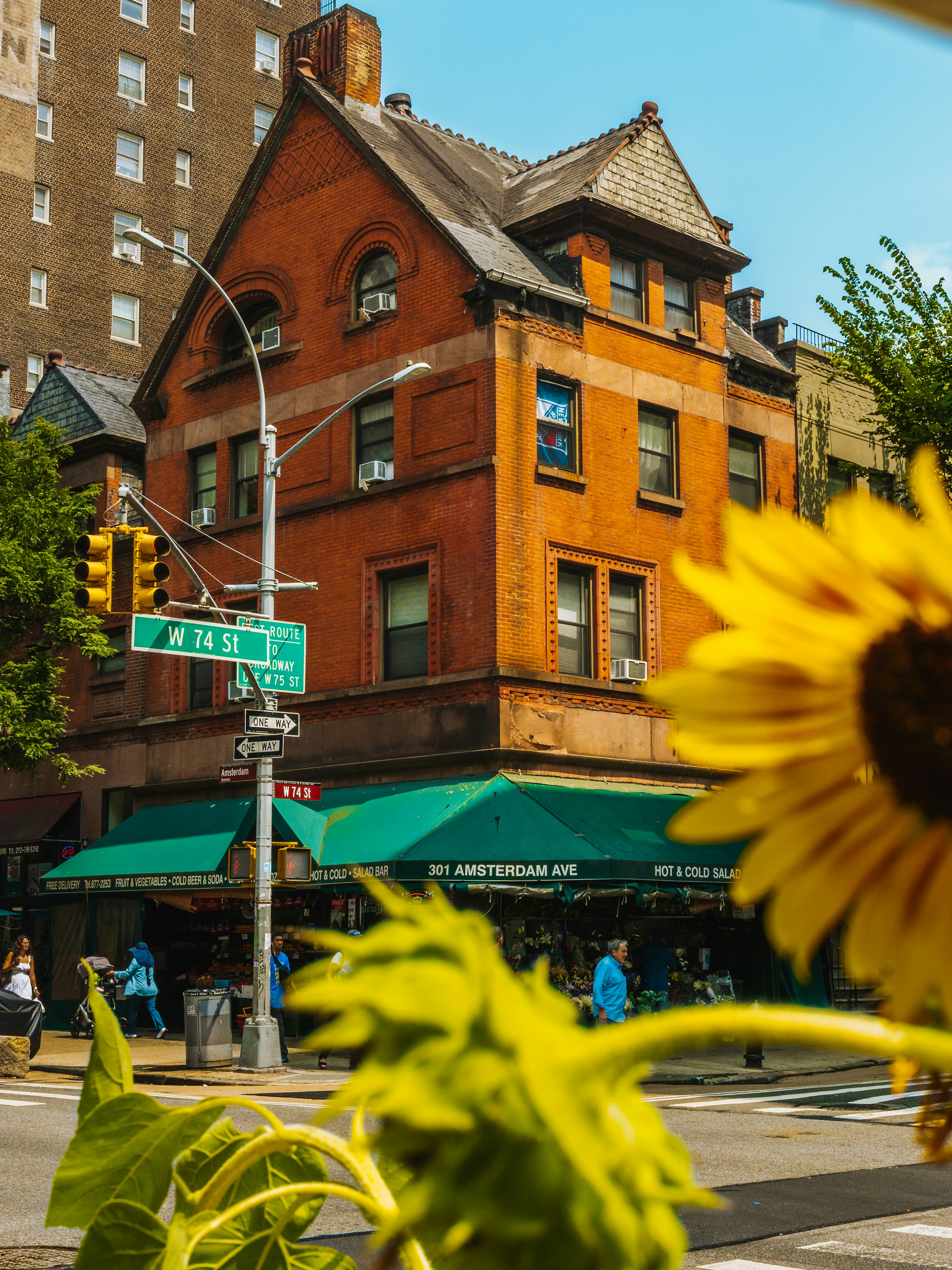 Sunflowers frame a brick corner building with a green awning at a city intersection; urban storefronts and pedestrians add life to a sunny street scene.