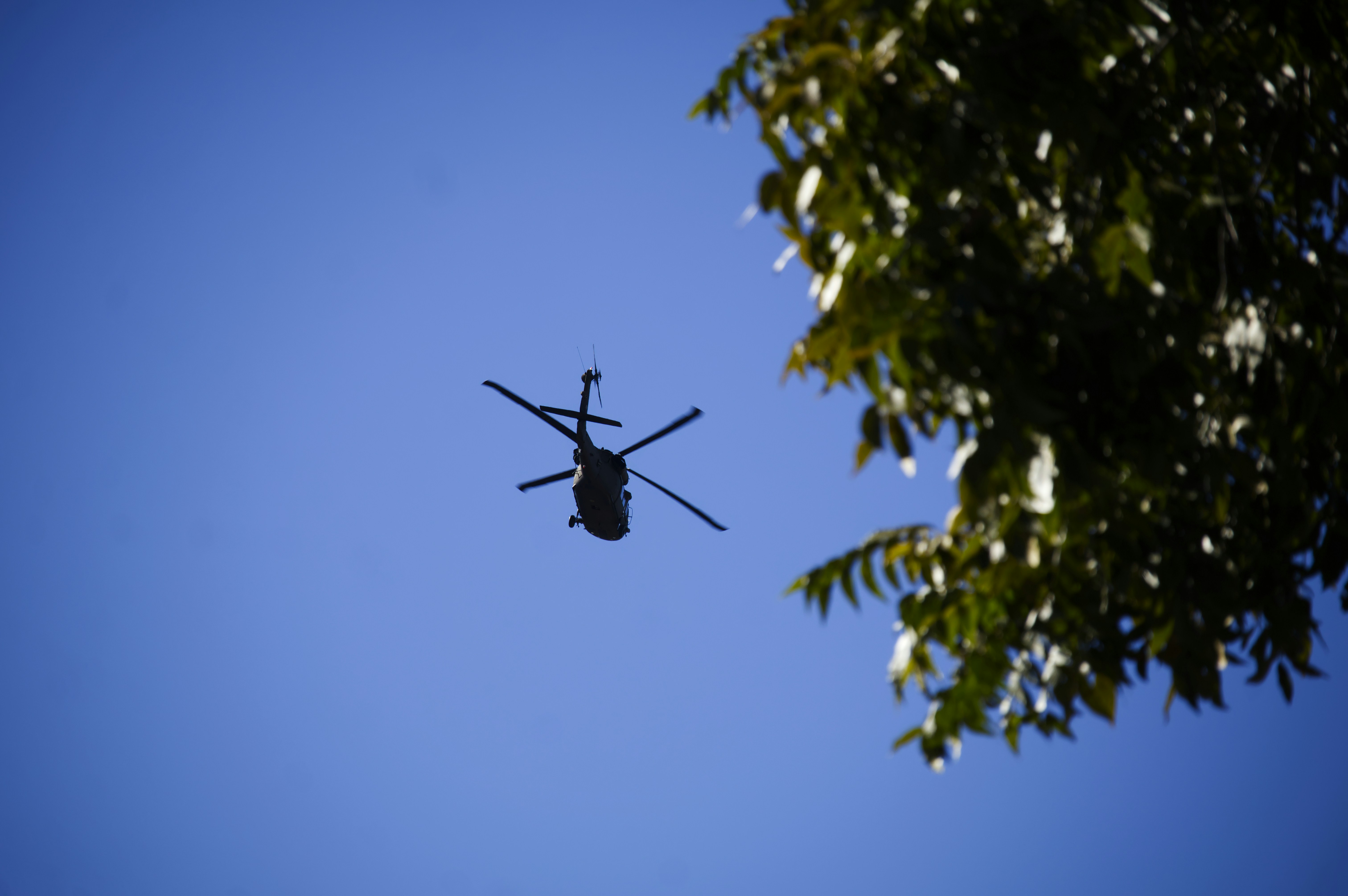 Dark helicopter silhouette against a vivid blue sky with tree foliage framing the right edge. The scene emphasizes a solitary aerial subject with minimal background clutter.