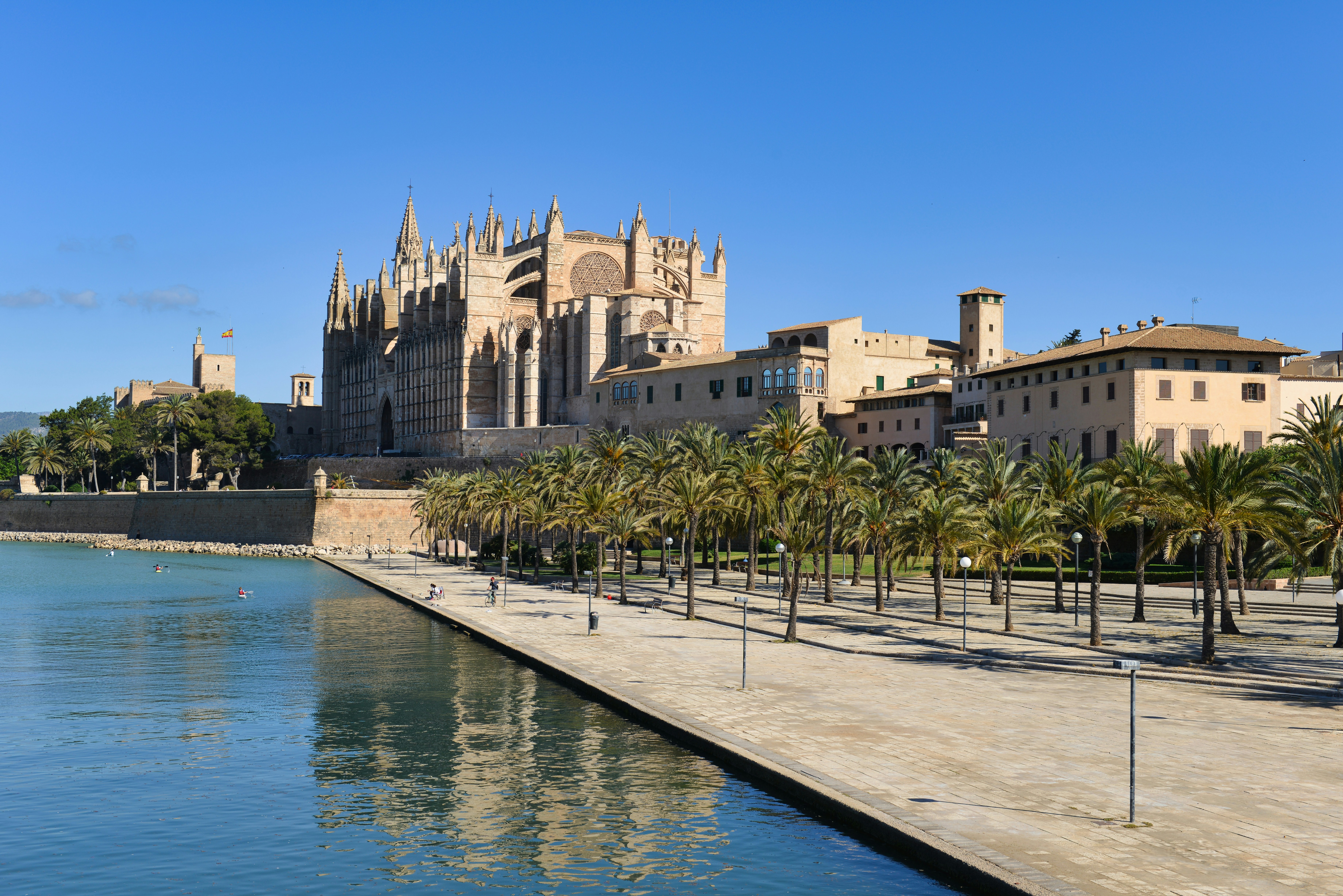 Coastal promenade with a grand Gothic cathedral atop a fortified waterfront, lined by evenly spaced palm trees along a stone quay by calm blue water.