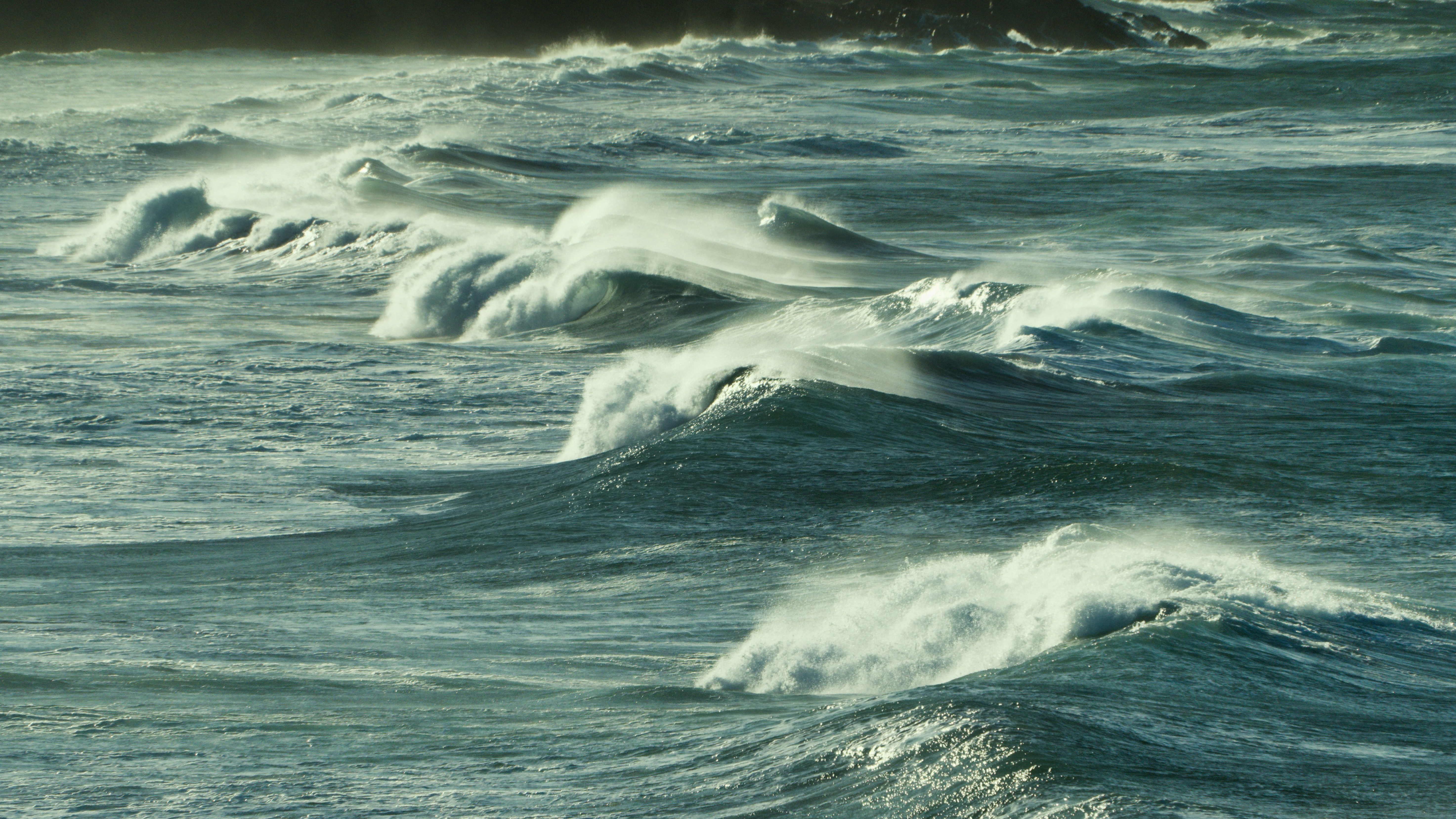 Ridge of Light: A Wave Crest Rolls Across a Wind-Burnished Ocean