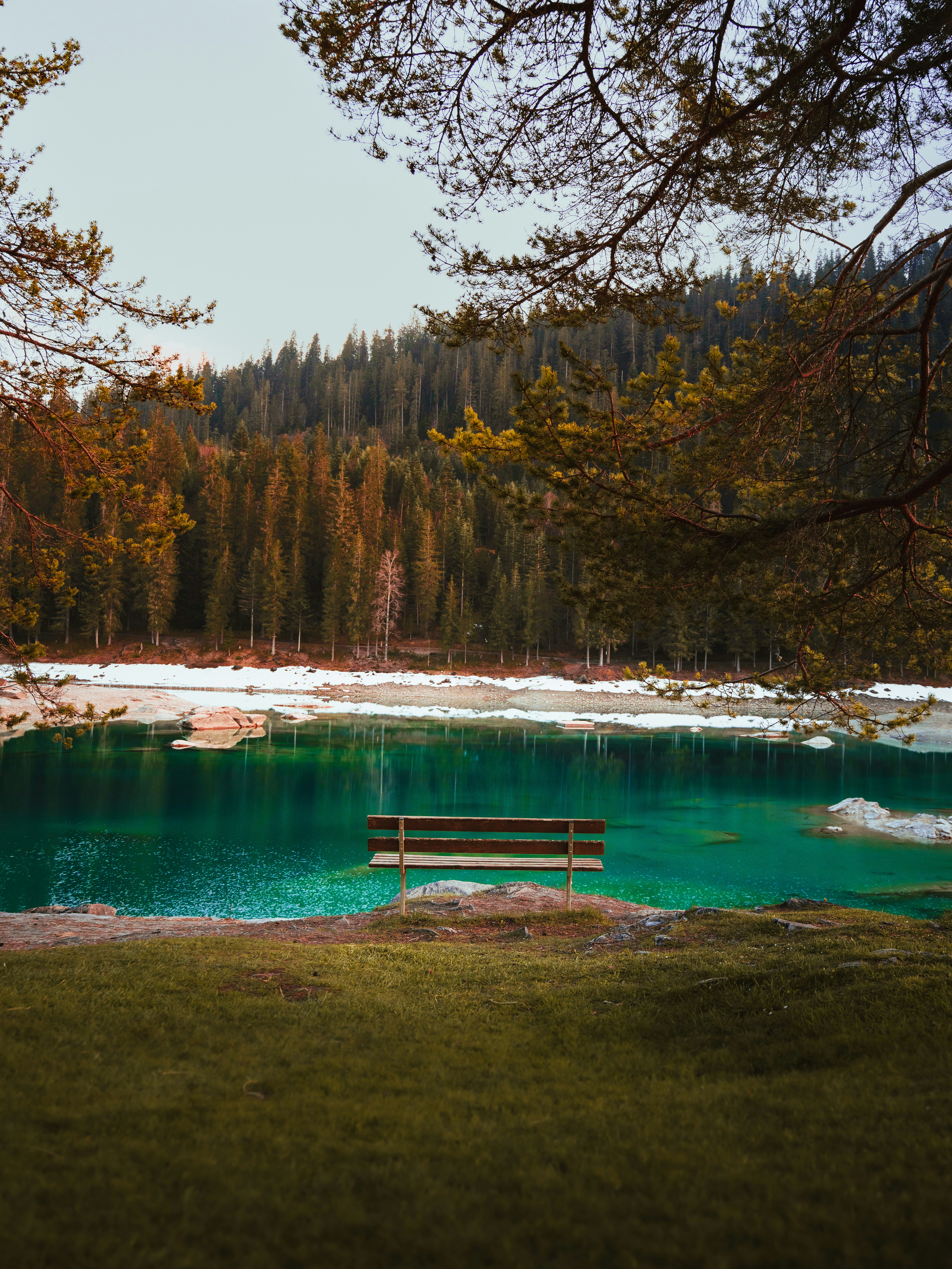 Bench by Turquoise Waters: Quiet Lake in Autumn Forest