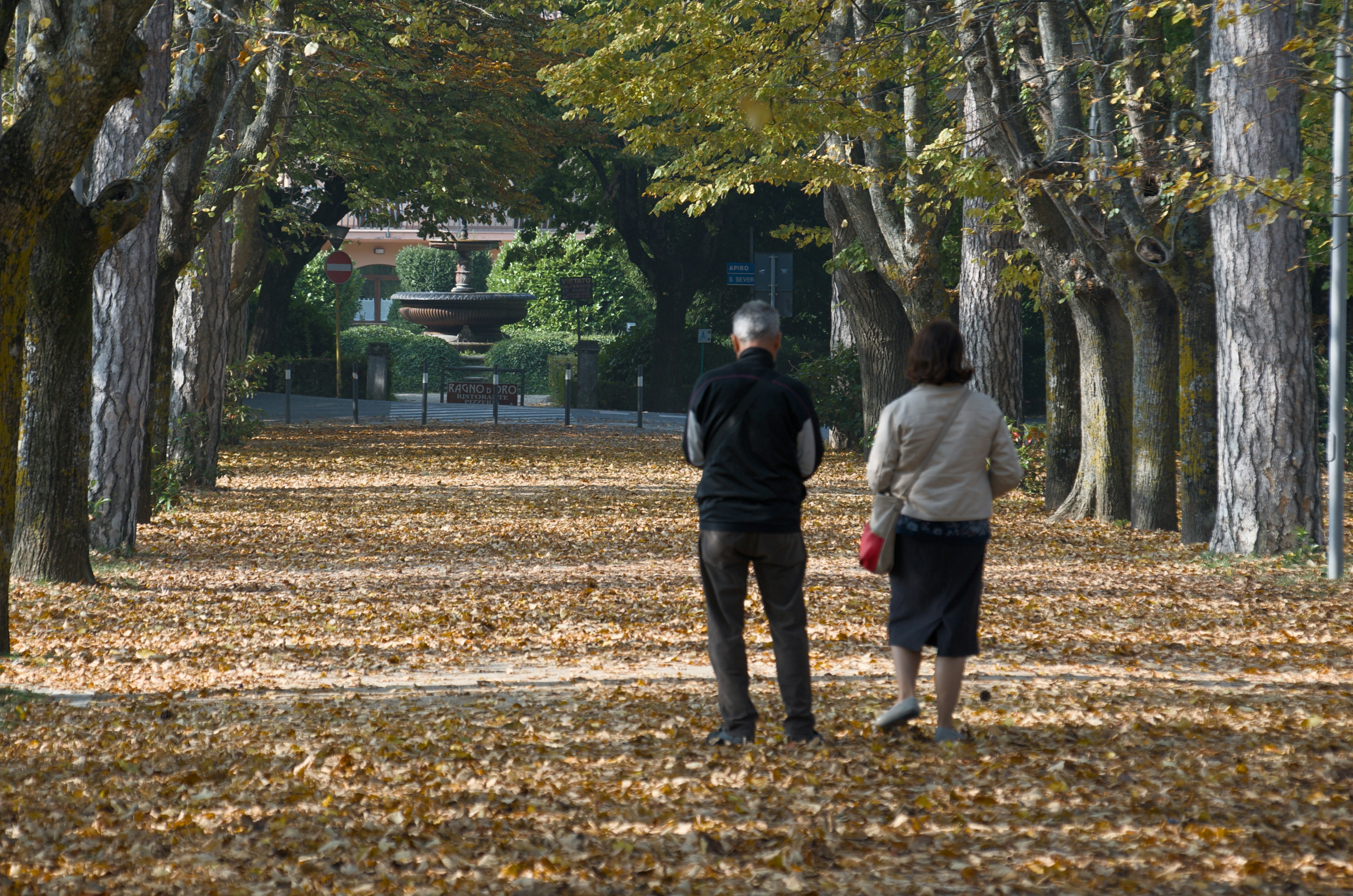 Autumn Stroll Under Gold Arrangements