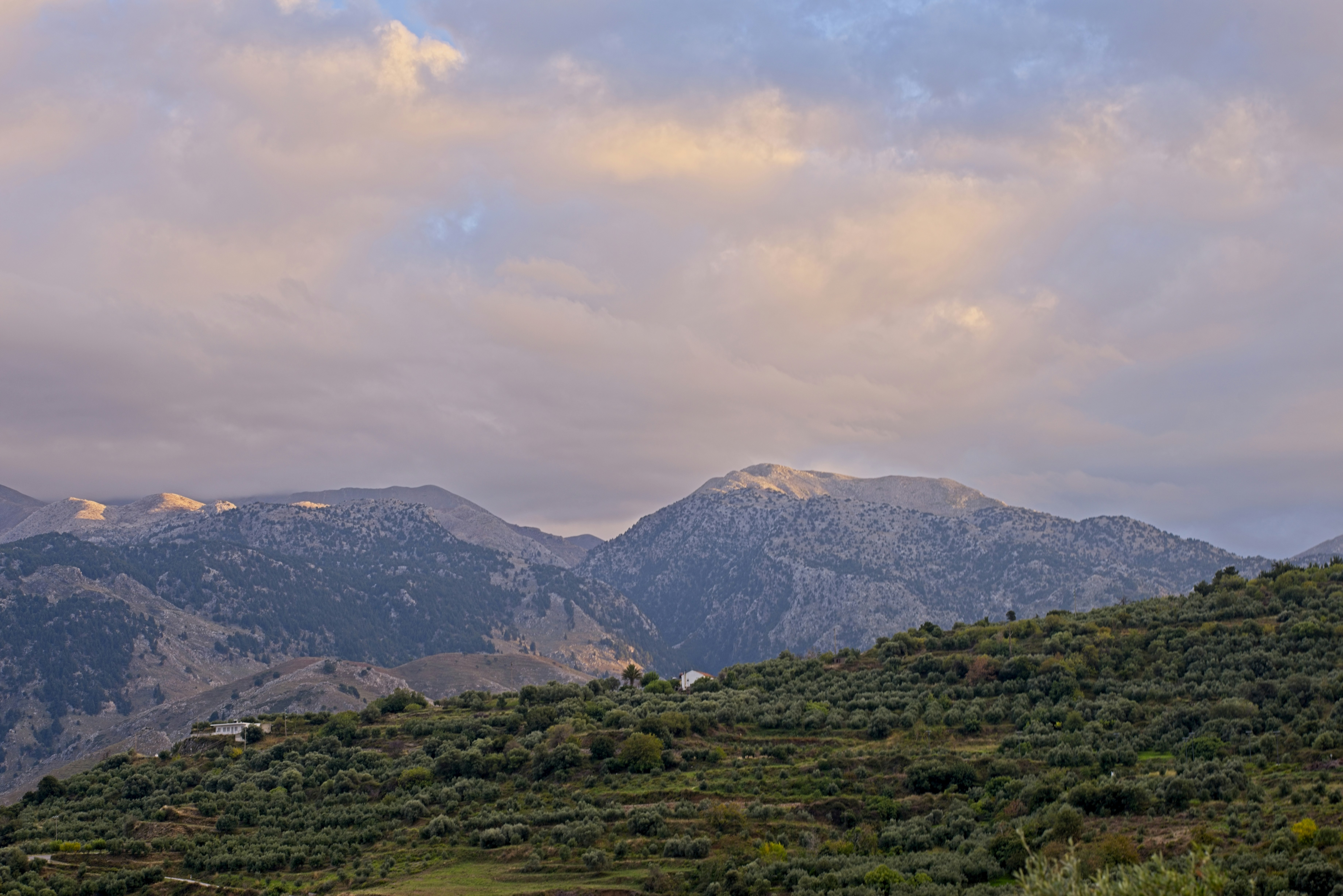 Dawn’s Quiet Ridge: Mountain Range Beneath Softly Painted Sky