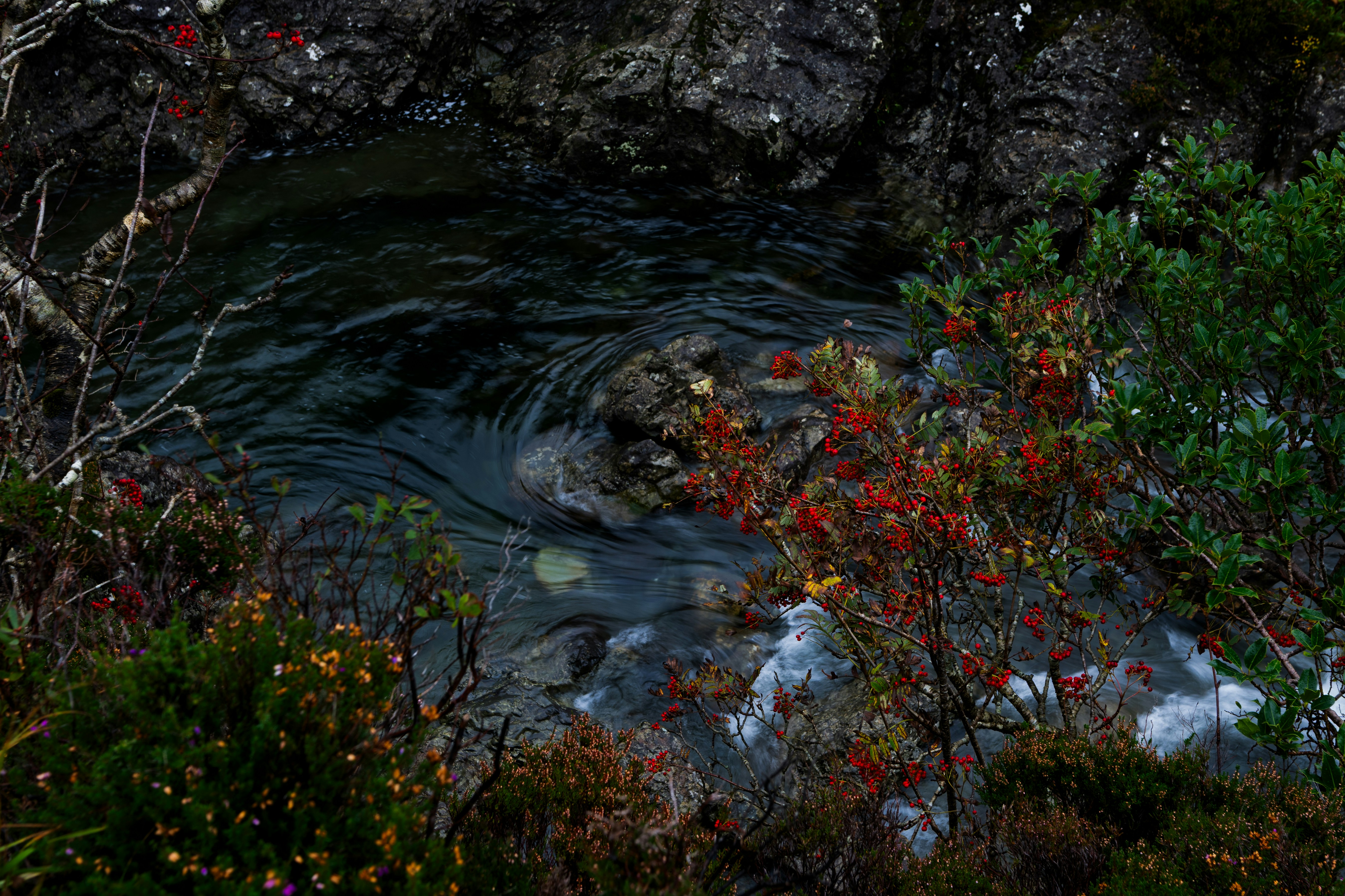 Rushing Stream Winsome in the Shadowed Banks