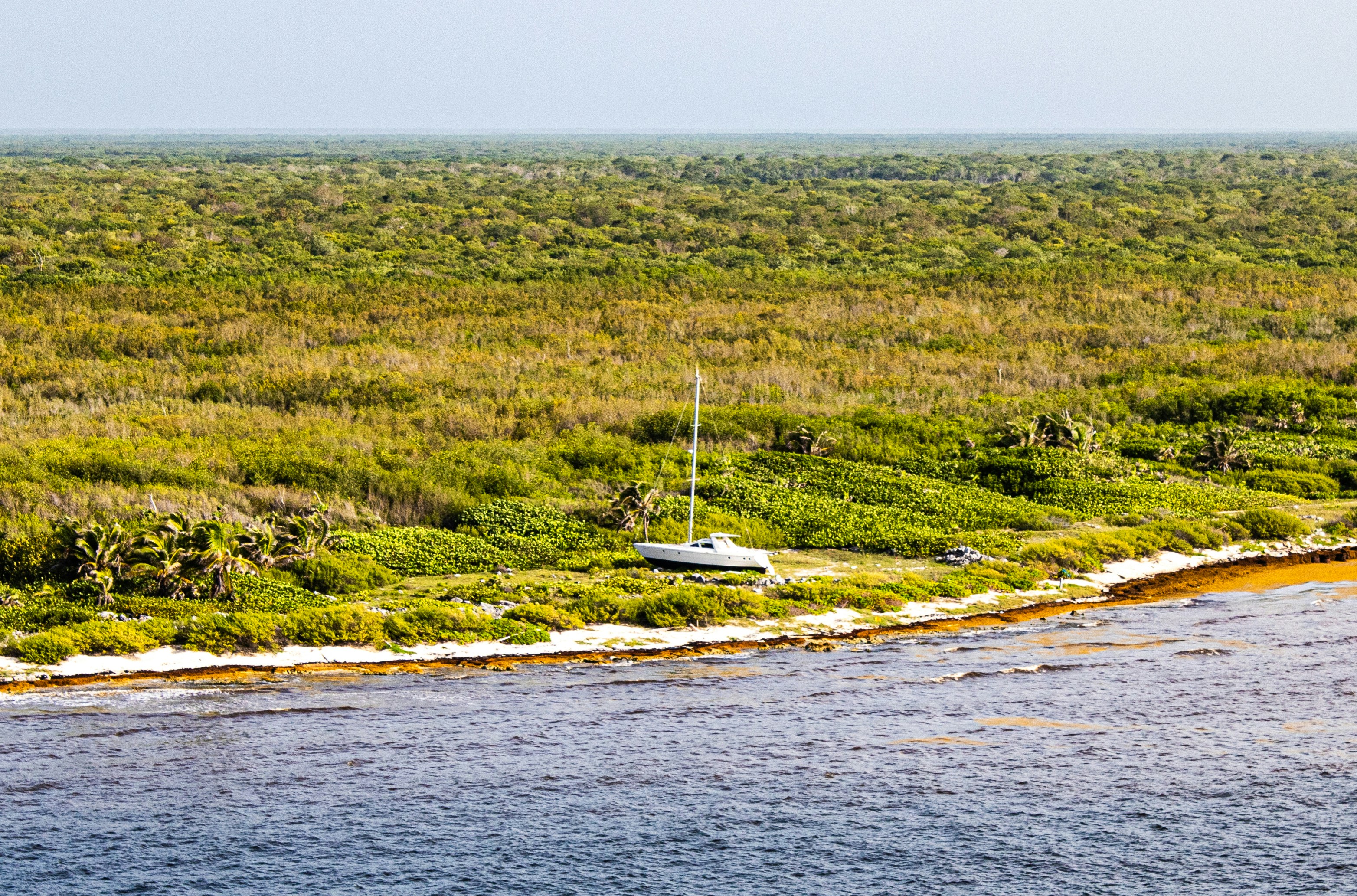 A small sailboat rests along a narrow shoreline bordered by dense marshland, with calm water in the foreground and a distant horizon of green vegetation.