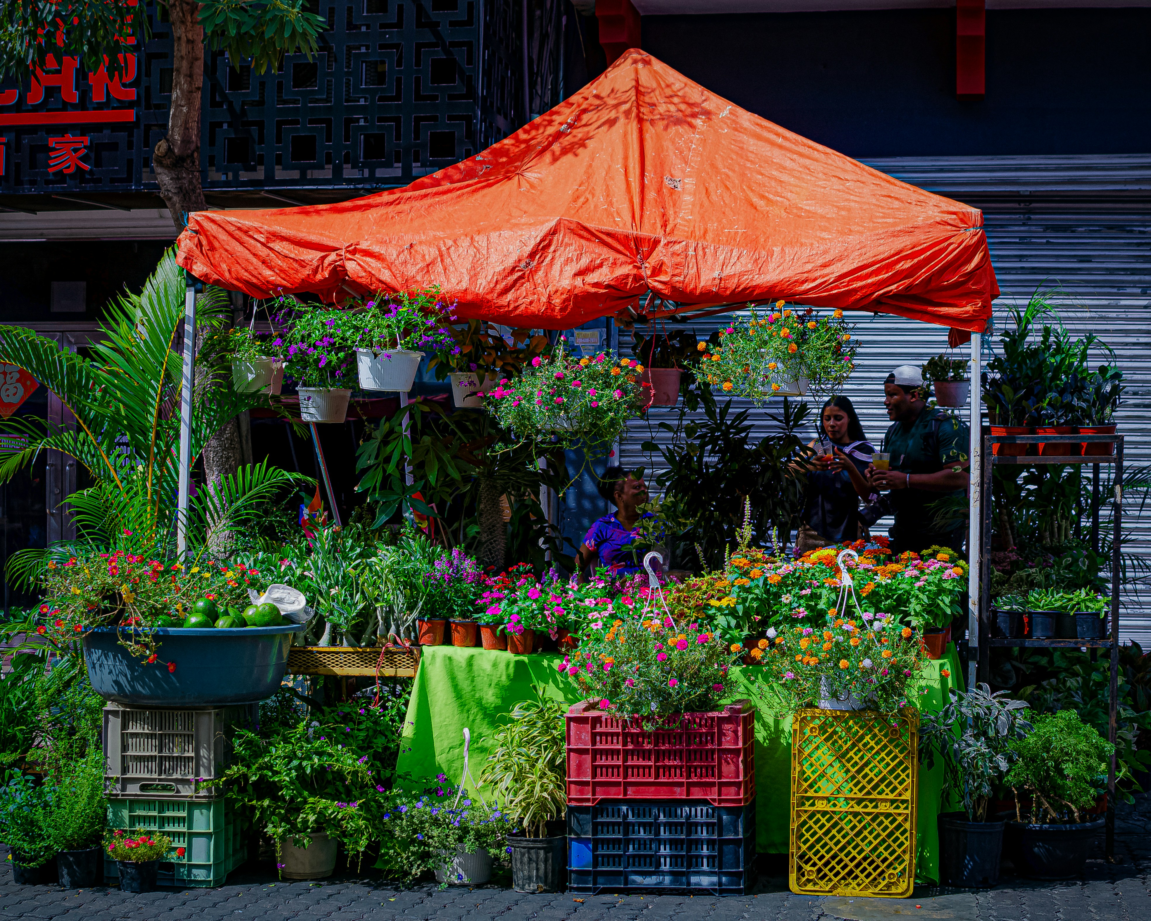 Vibrant plant stall under an orange canopy, with baskets and crates of flowers and greenery arranged along a storefront.