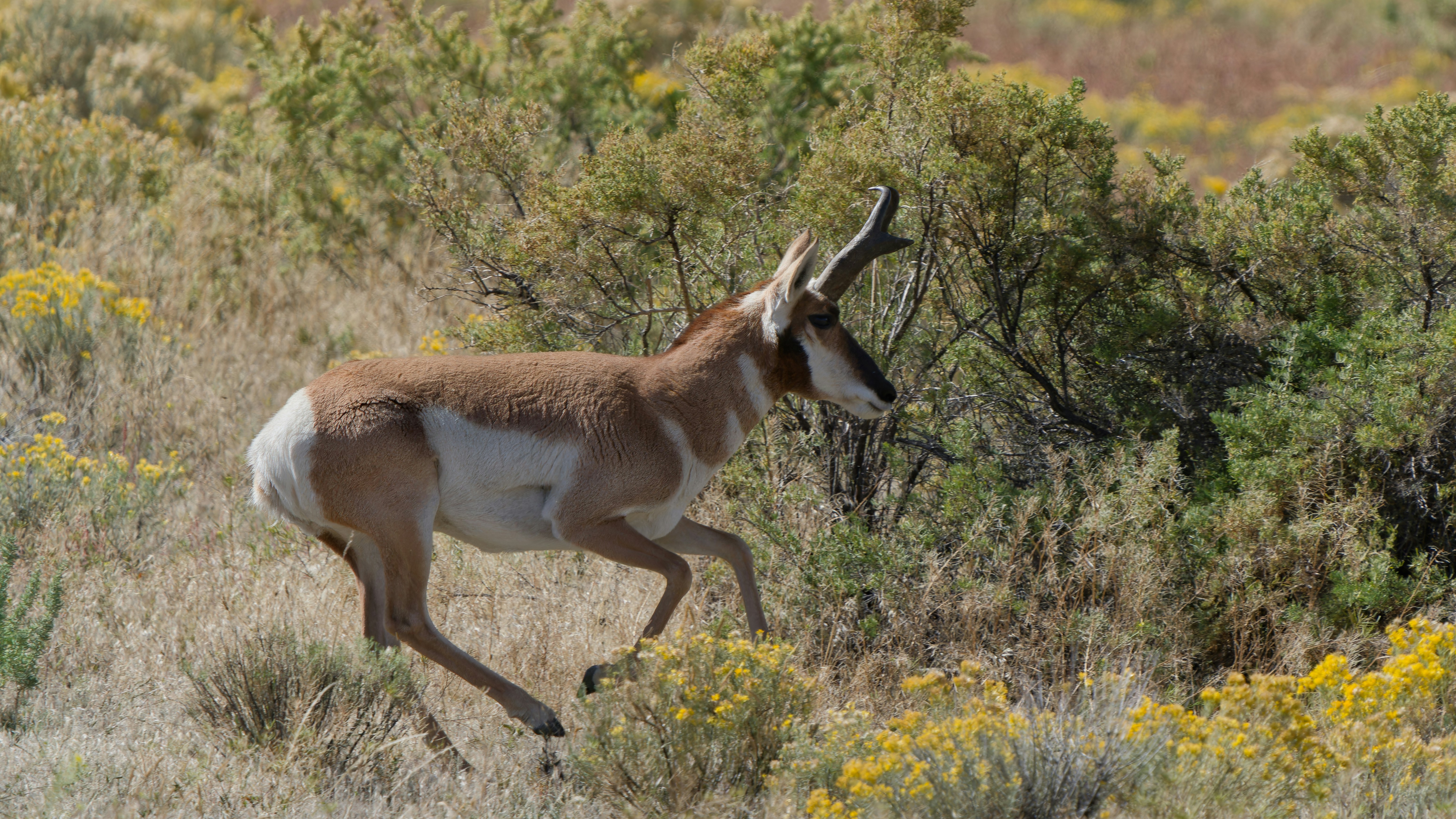 Photo by Patrick Bigelow with Sony Alpha 7R V