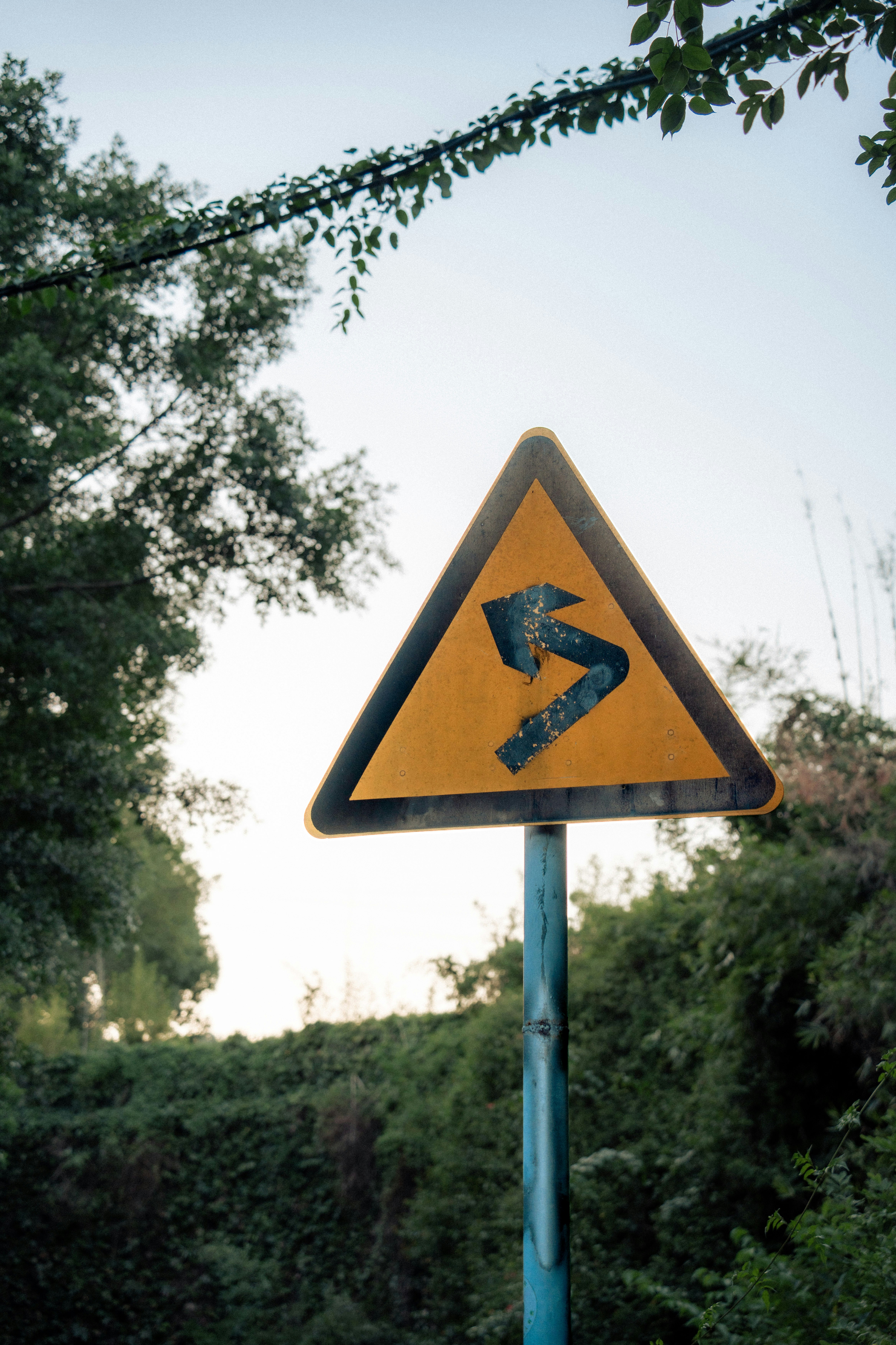 Yellow Caution Arrow Sign Amid Greenery