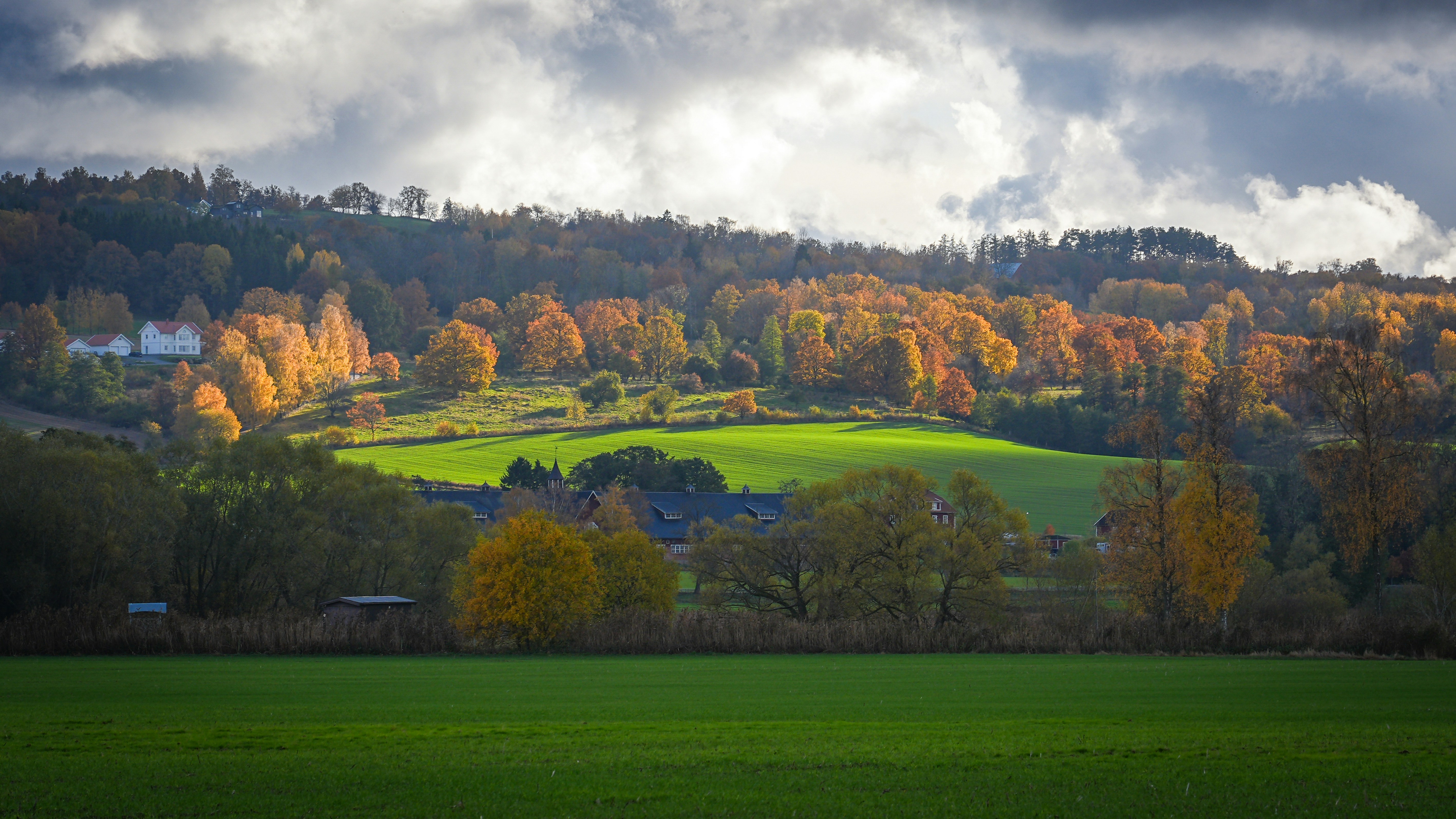 Vibrant autumn hillside with a patchwork of trees and green fields under a partly cloudy sky; a tranquil rural landscape.