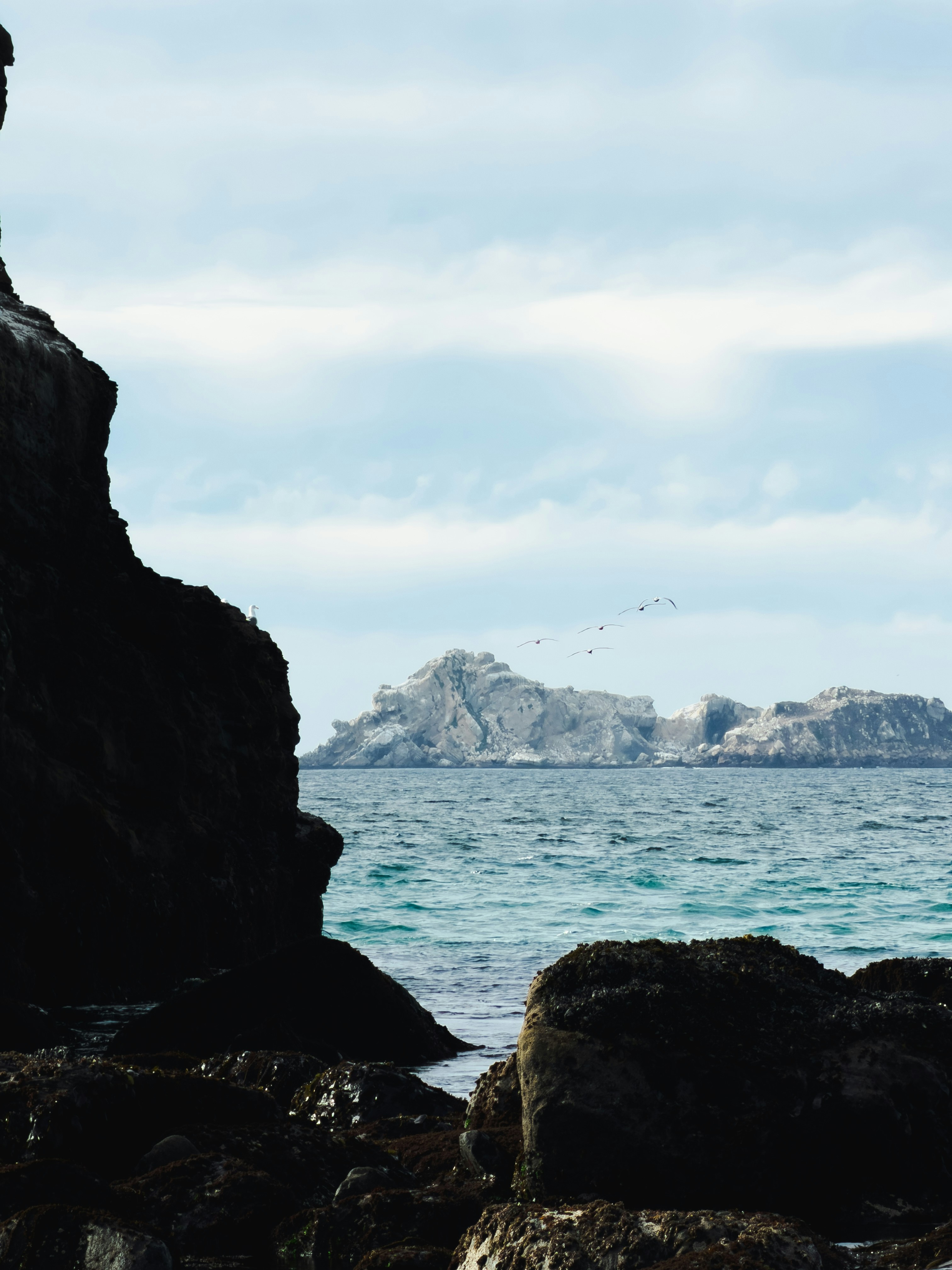 Cliffside Silence Over a Teal Sea