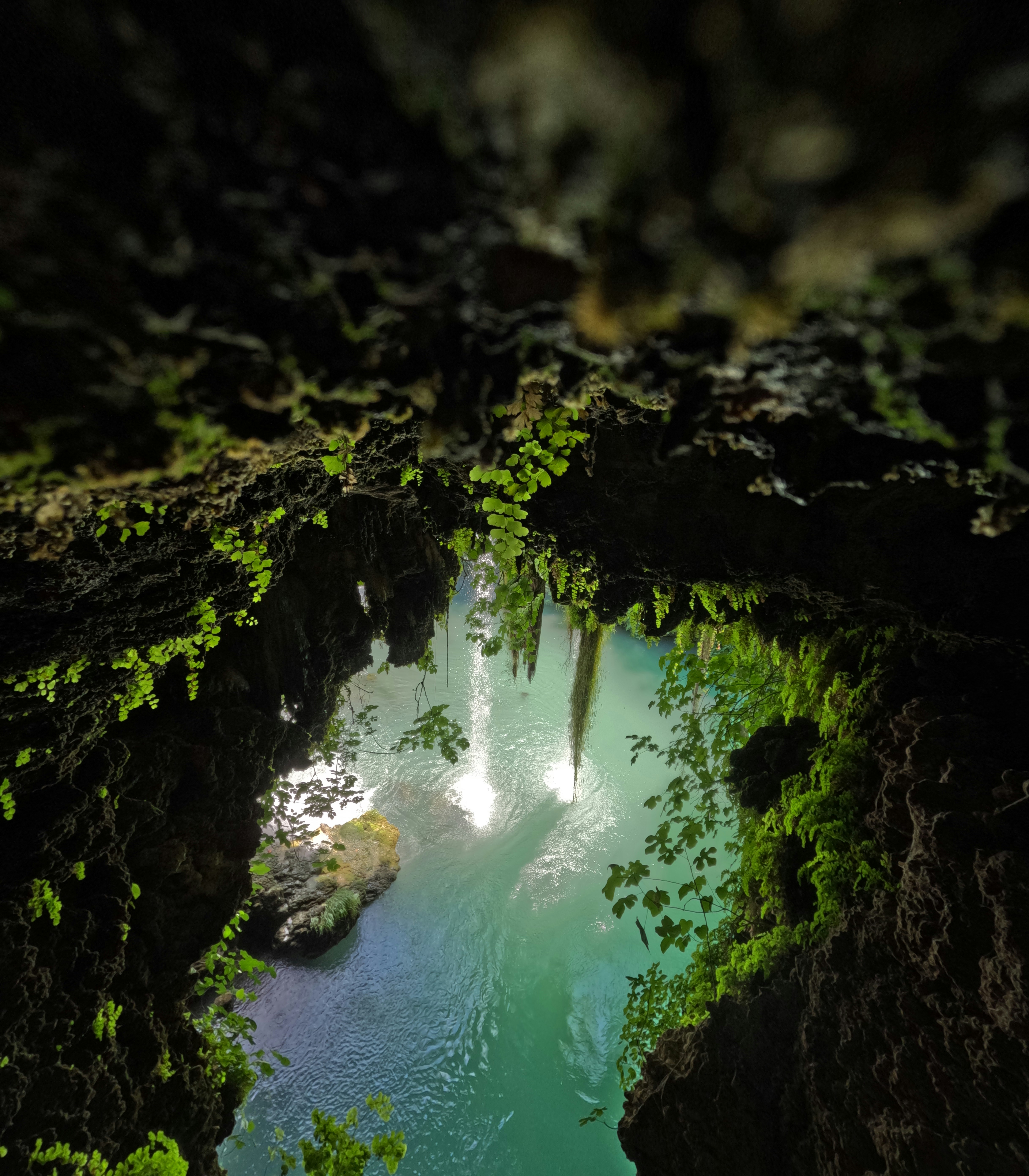A verdant cave aperture opens to turquoise water below, with sunlight filtering through moss and vines to illuminate the pool. The scene highlights natural architectural forms and a serene, otherworldly poolscape.