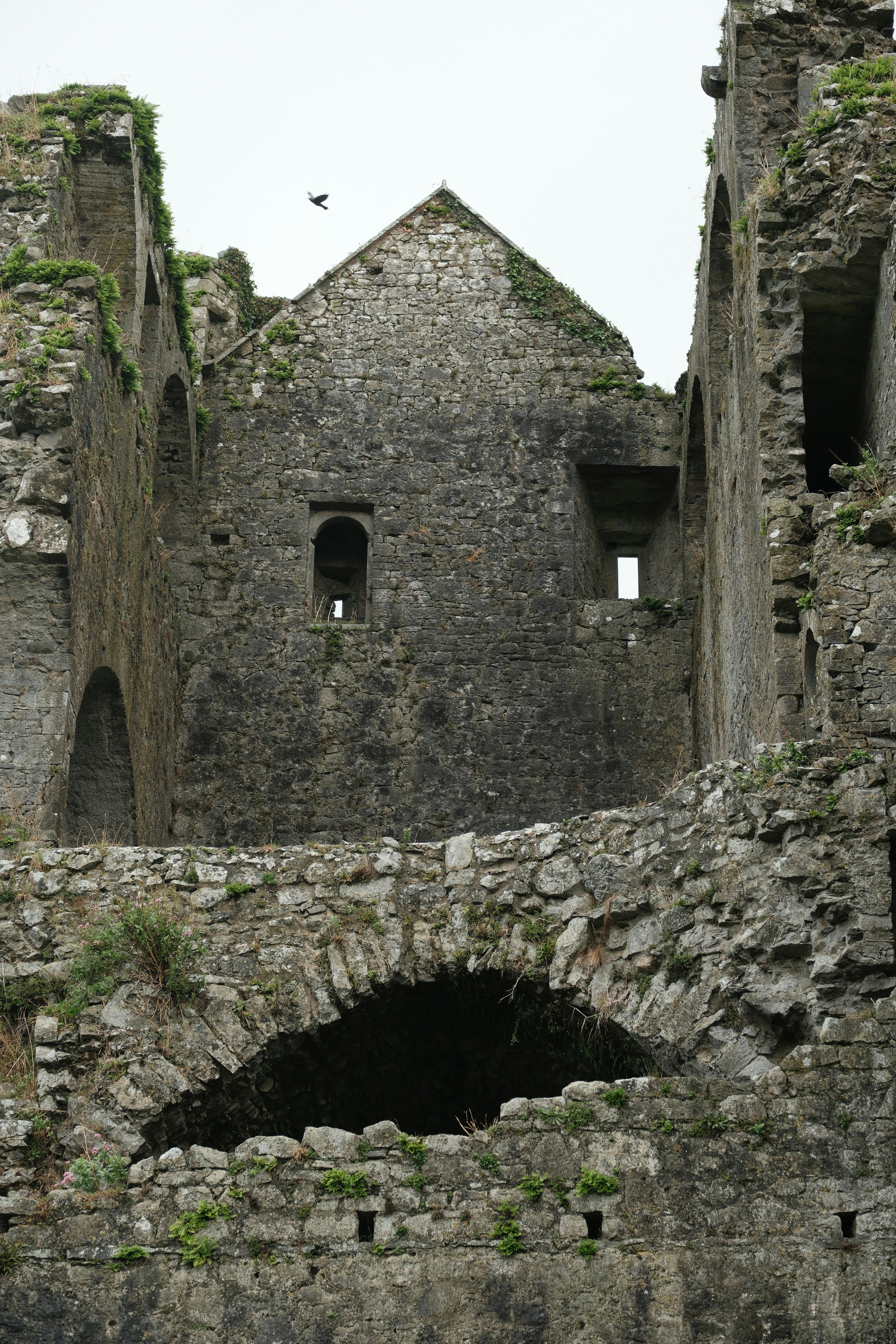 Ruins of the Stone Fortress: A lone window under a weathered, ivy-clad gable