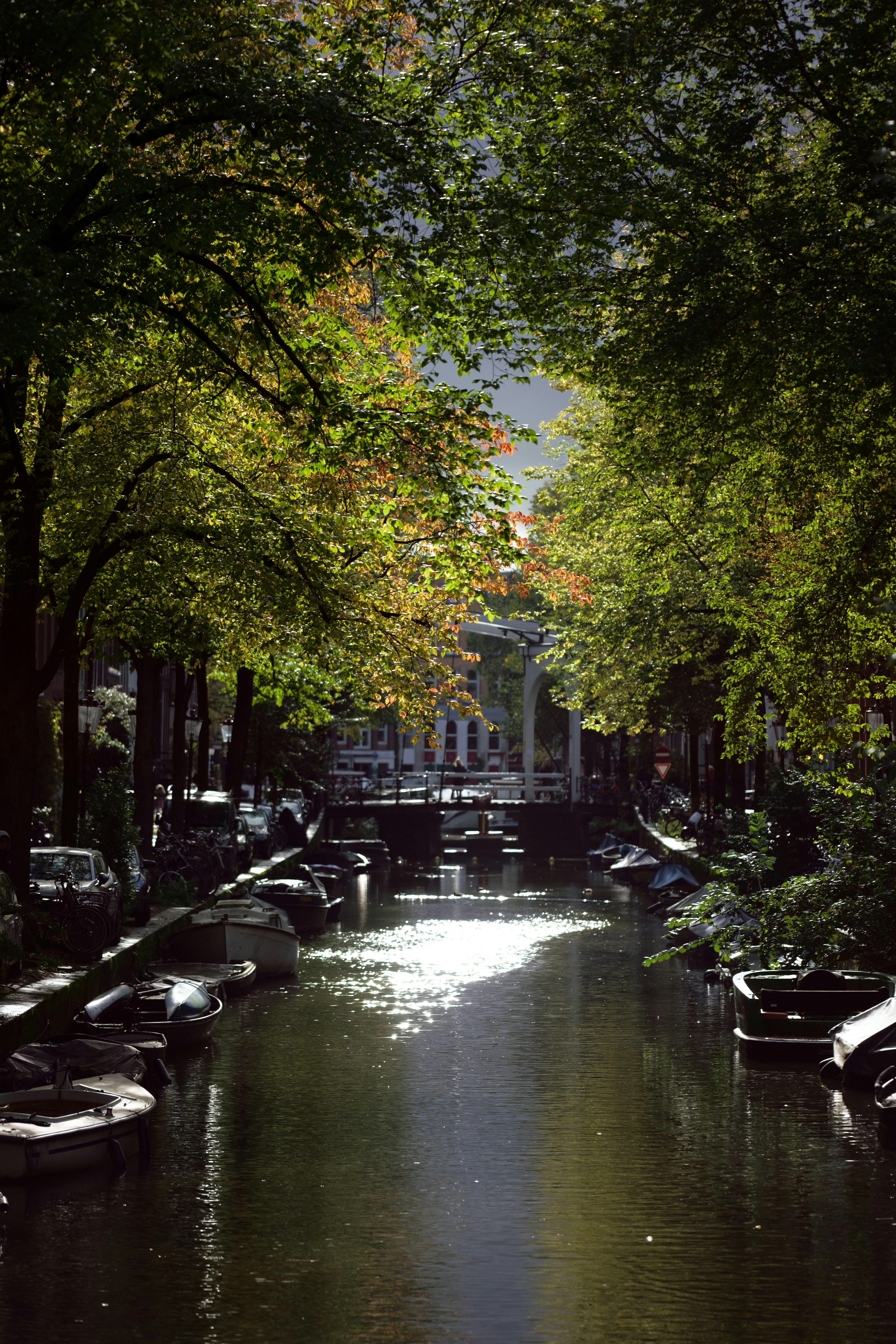 Sunlit Canal: Boats, Reflections, and Autumn Canopy Framing