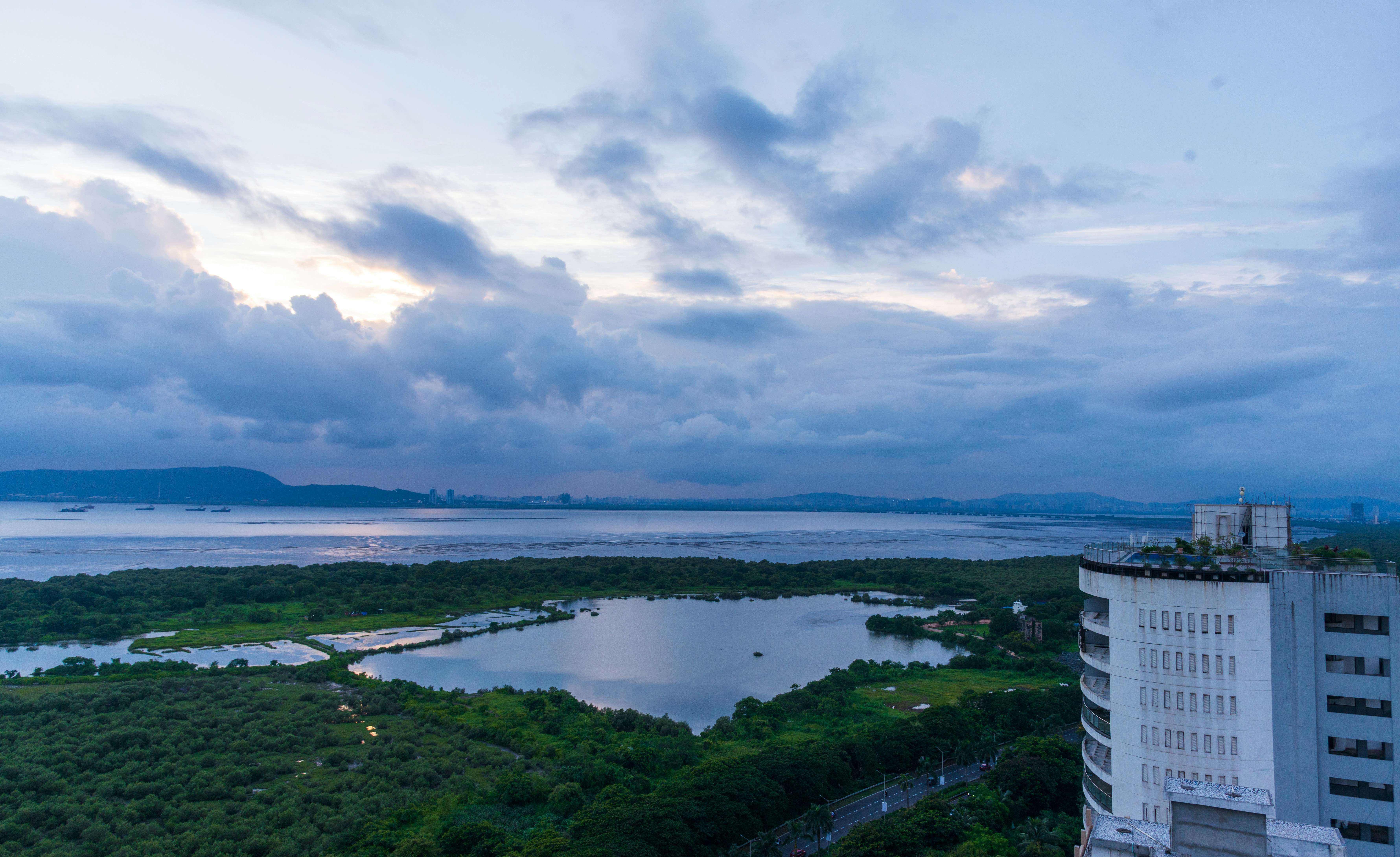 Coastal marshes and a distant shoreline stretch under a moody sky; a high-rise corner and lush greenery frame the scene, emphasizing the contrast between urban edge and nature.