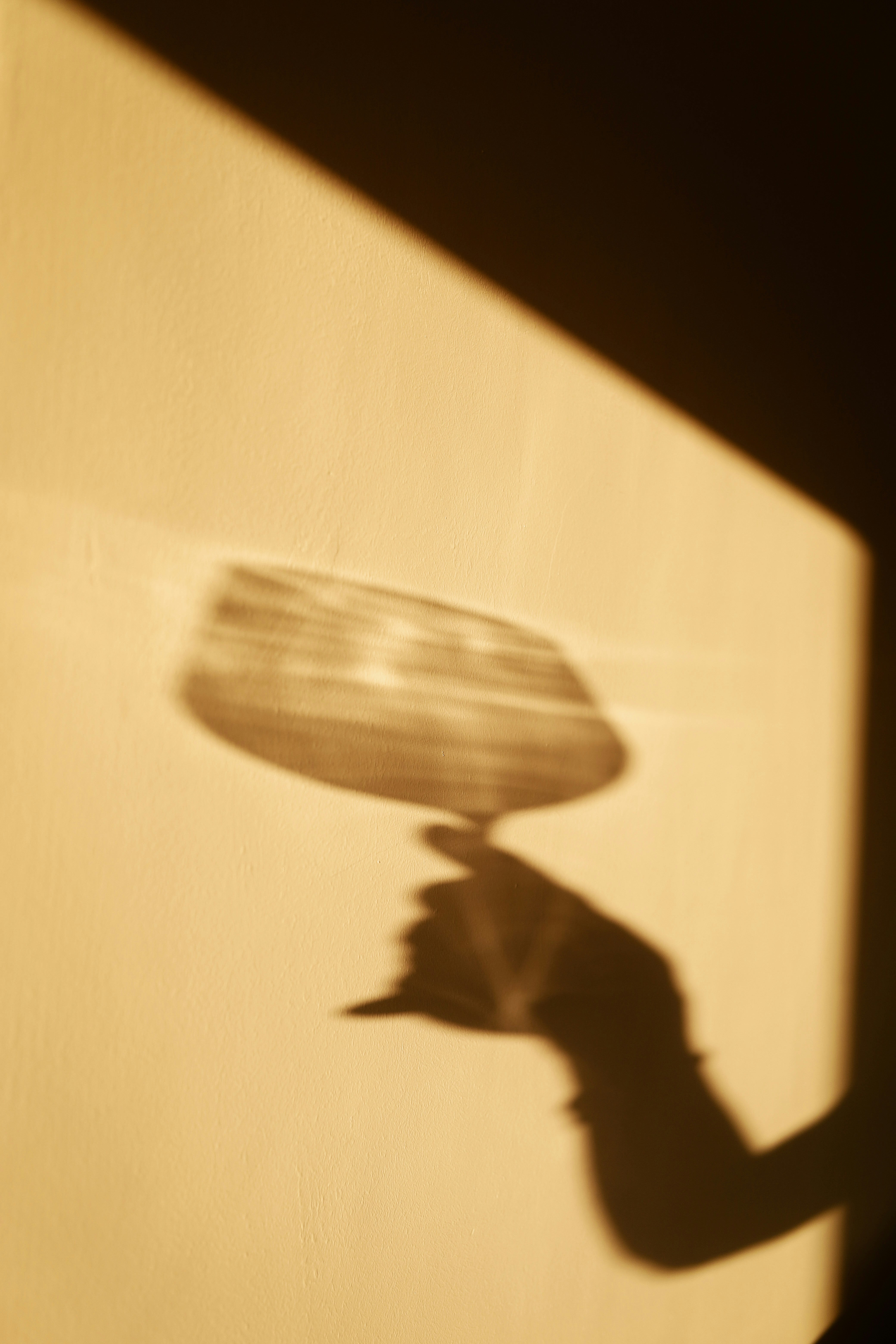 Photo by Nataliya Melnychuk with Canon EOS RP