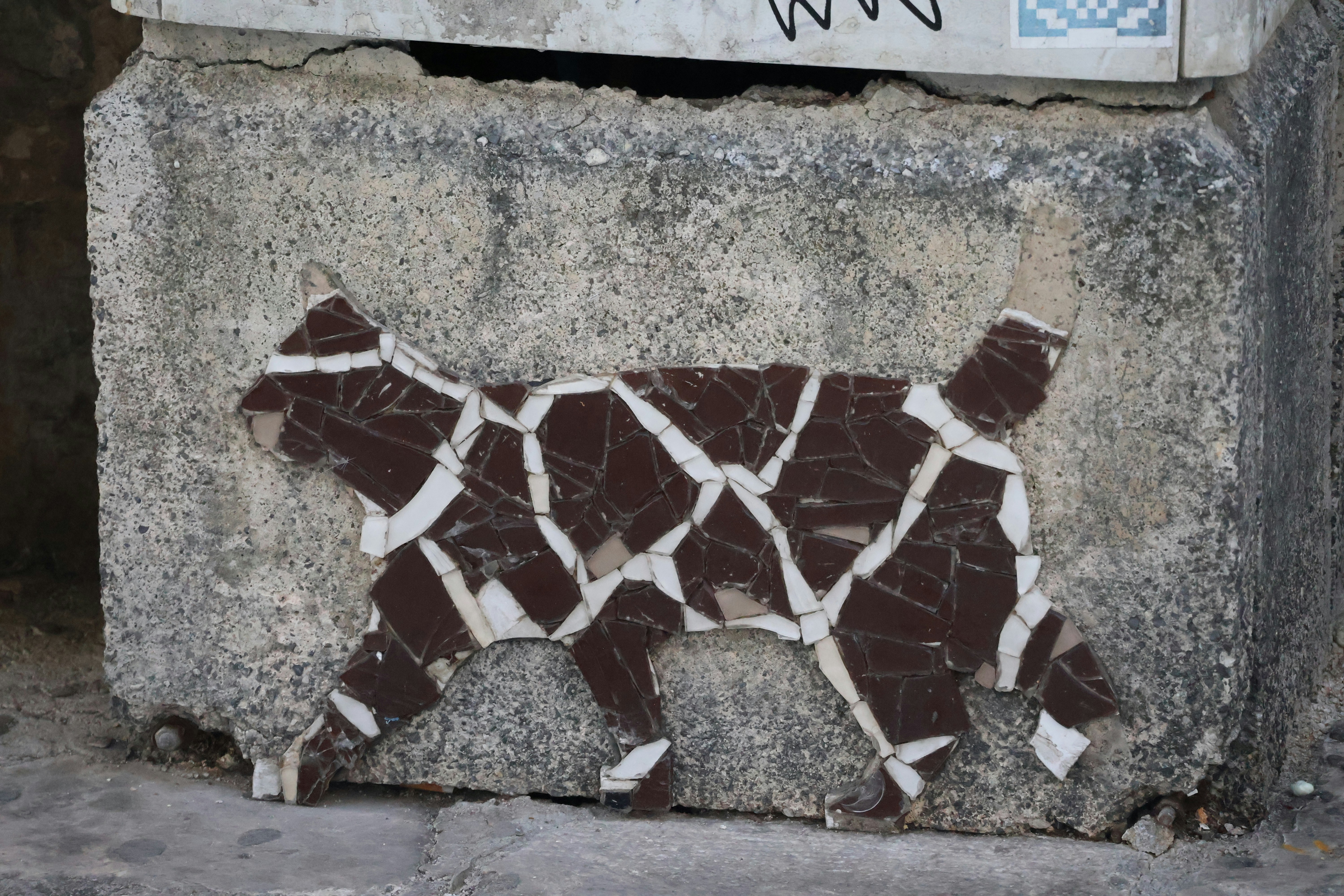 Mosaic Canine Accents on Weathered Concrete